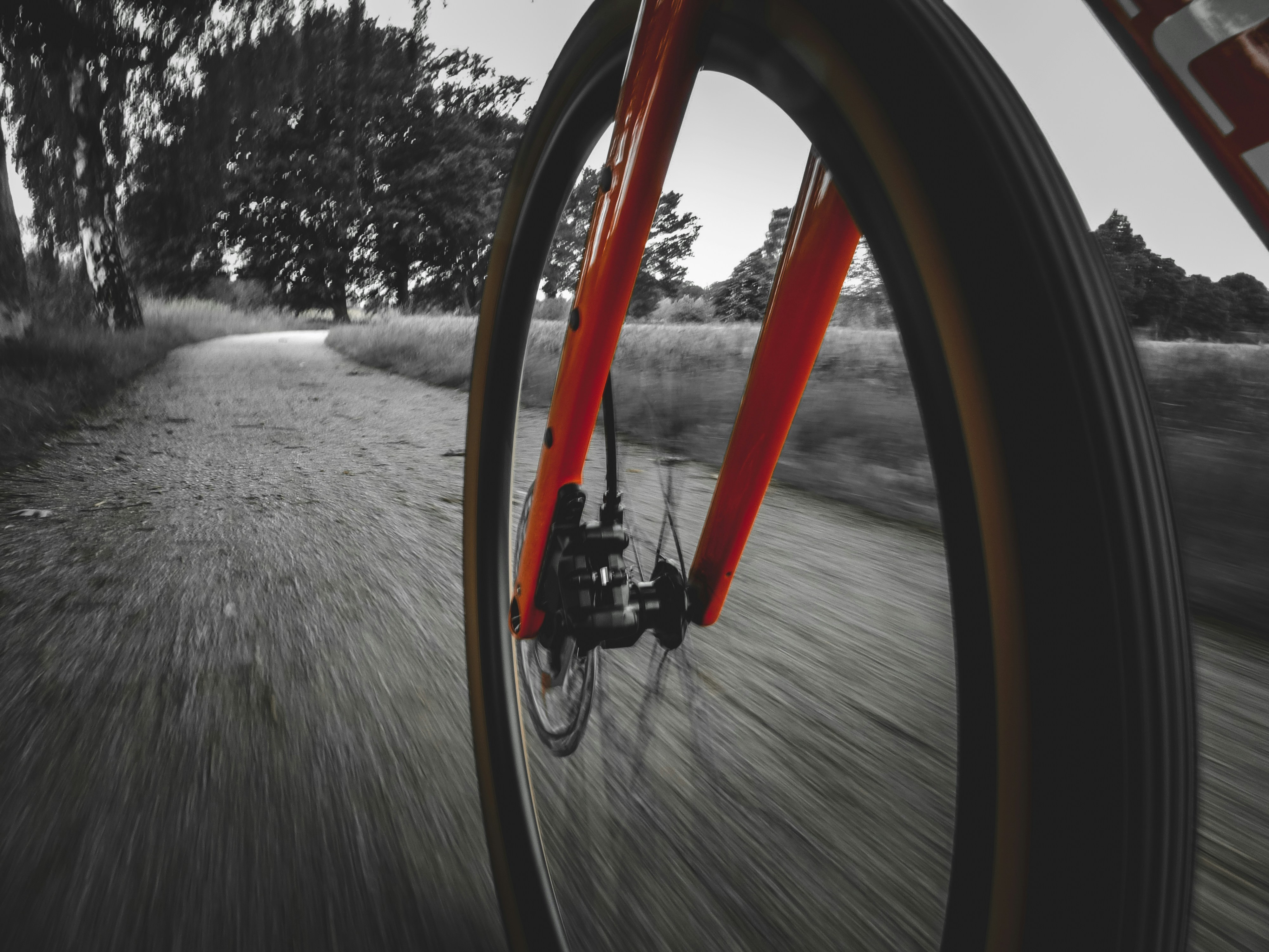 Wheel in Focus: A Forward Ride into the Blur