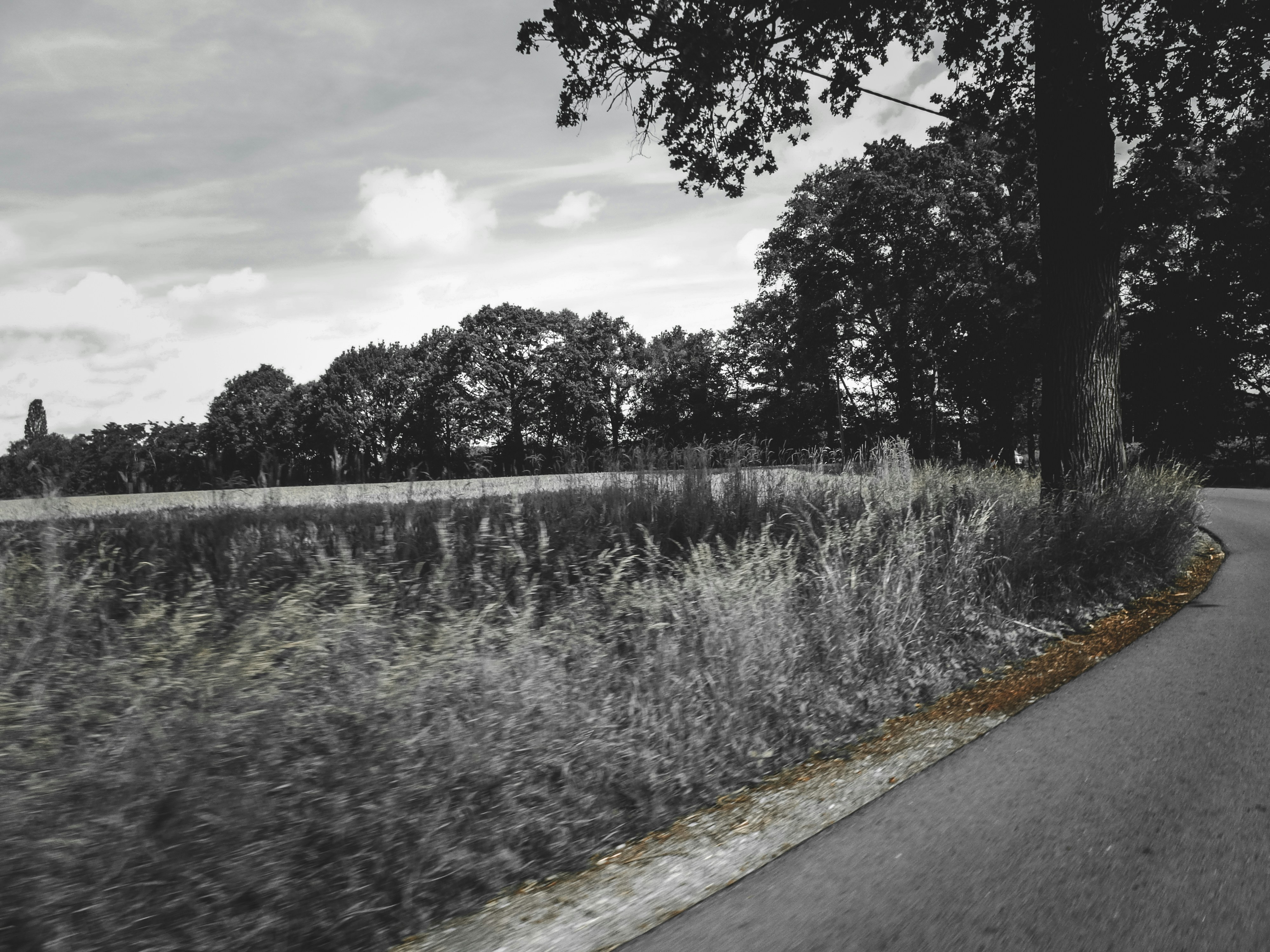 Unterwegs mit dem Gravelbike rund um Gütersloh auf dem Dalkeweg und an der Lutter.