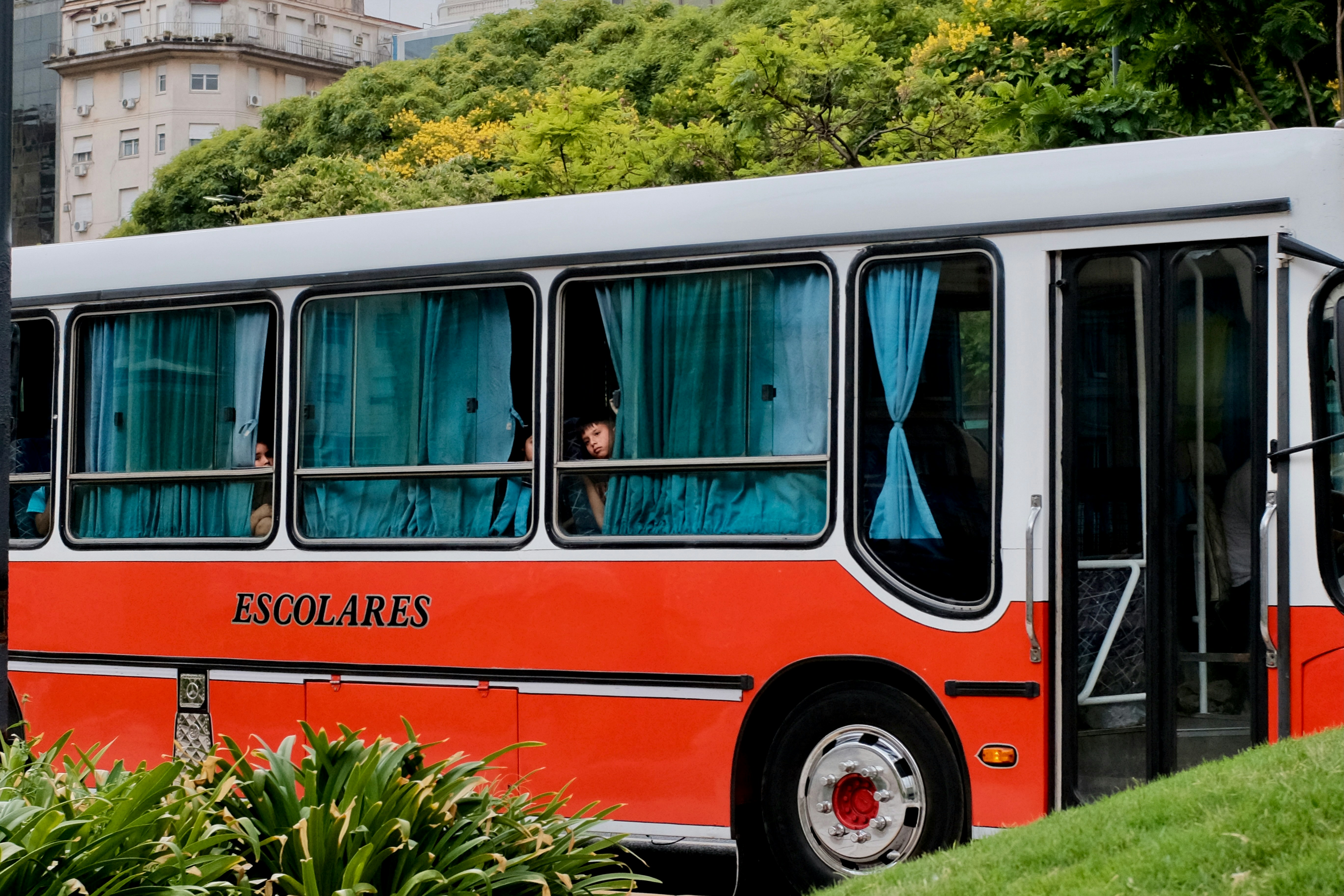 Orange school bus in a park setting with blue curtains in the windows