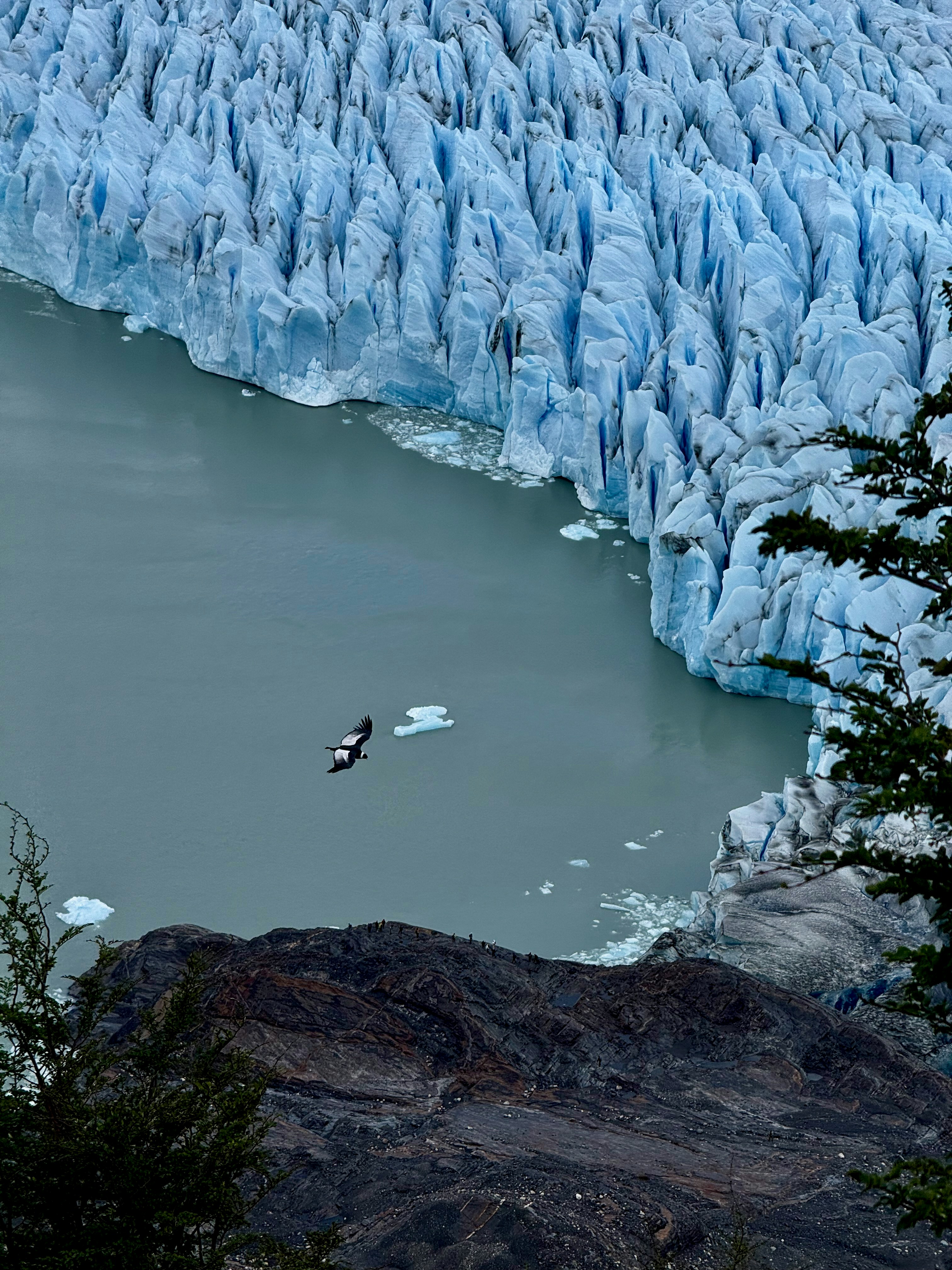 Ice Teeth Loom Over Tranquil Fjord: A Polar Scene with a Dropped Object