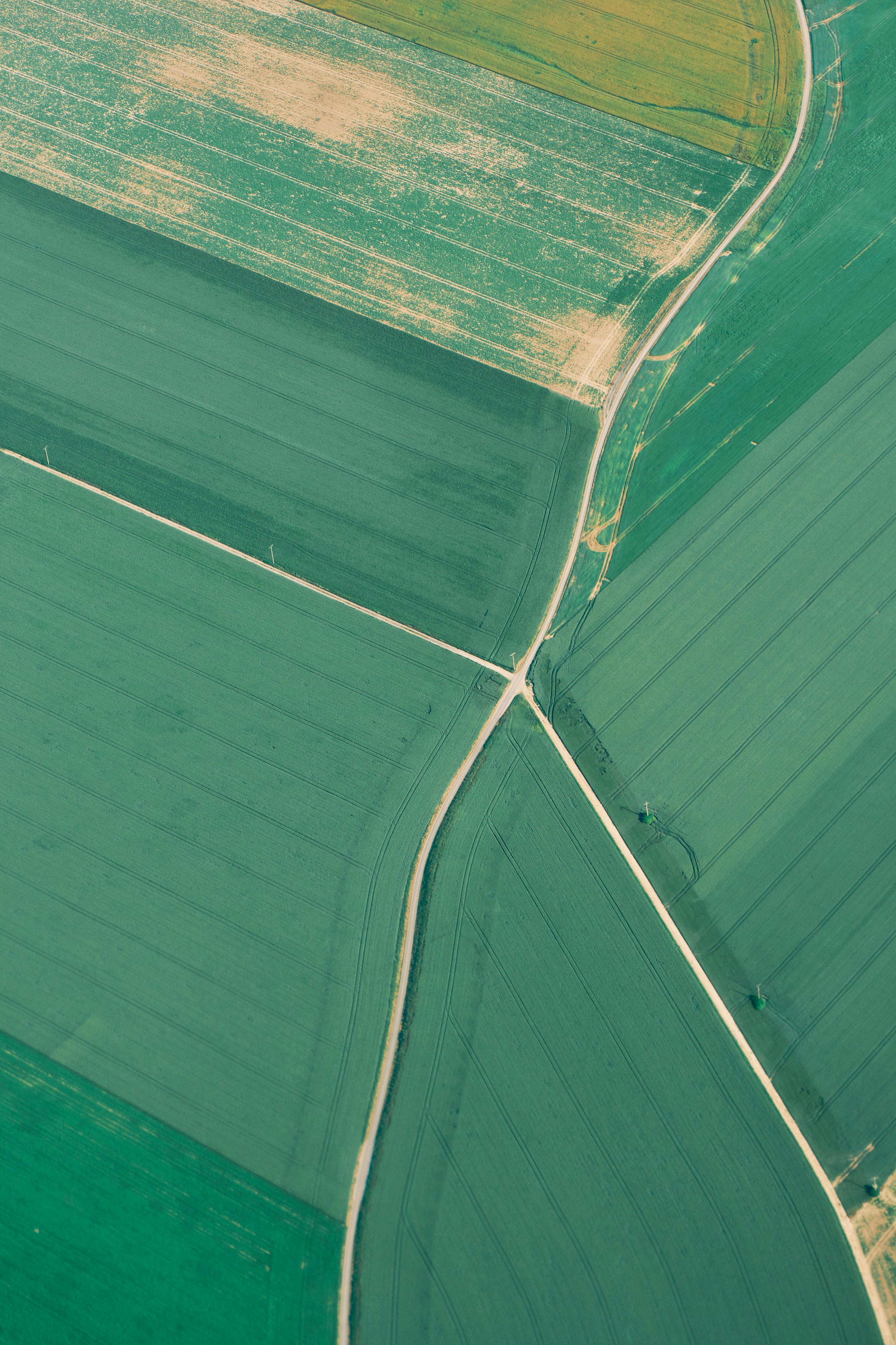 Intersecting Field Roads: A Geometric Patchwork from Above