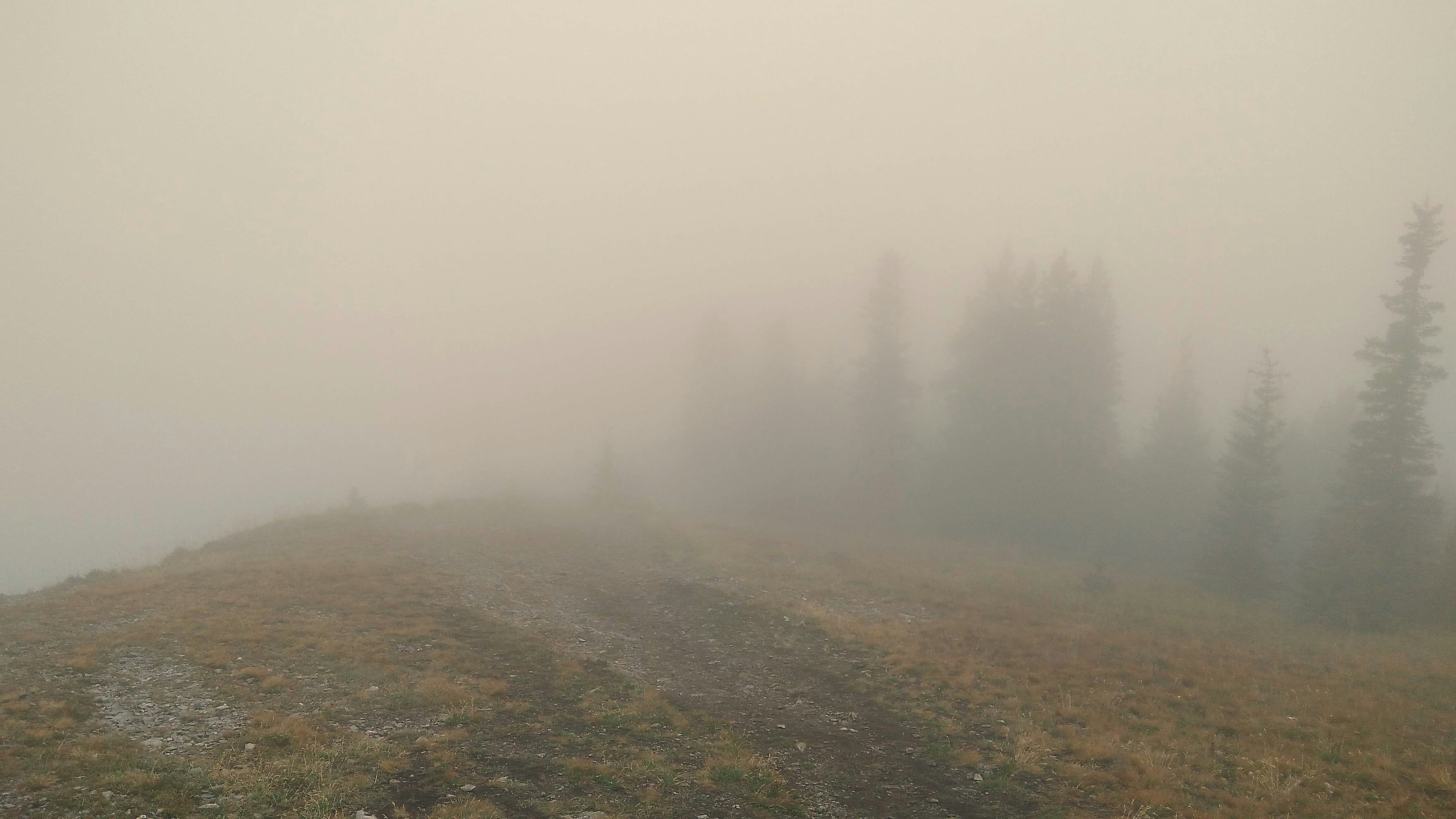 Muted Ridge in the Veil: A Foggy Ascent