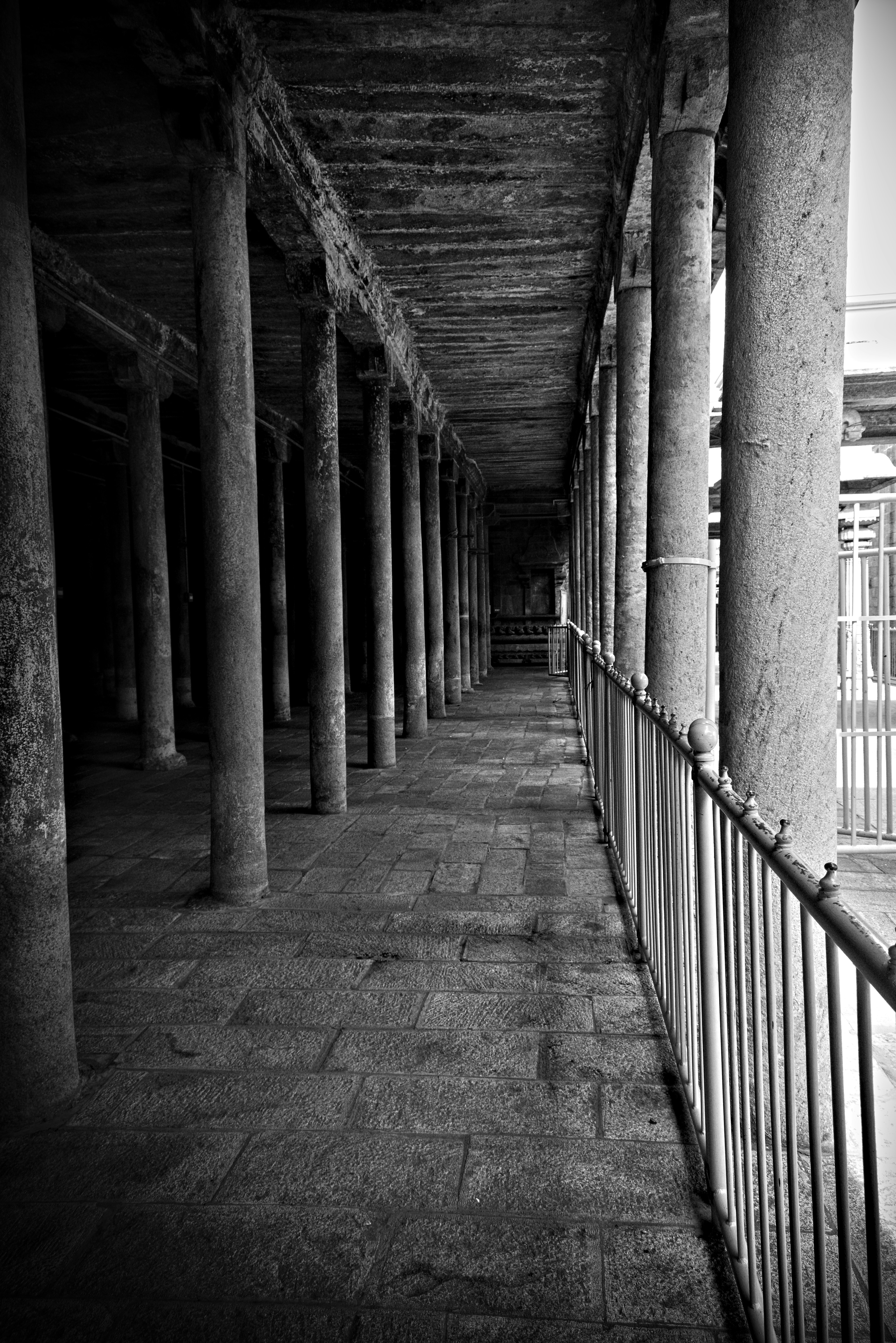 Colonnade of Shadows: A Monochrome Corridor Ferrying Light