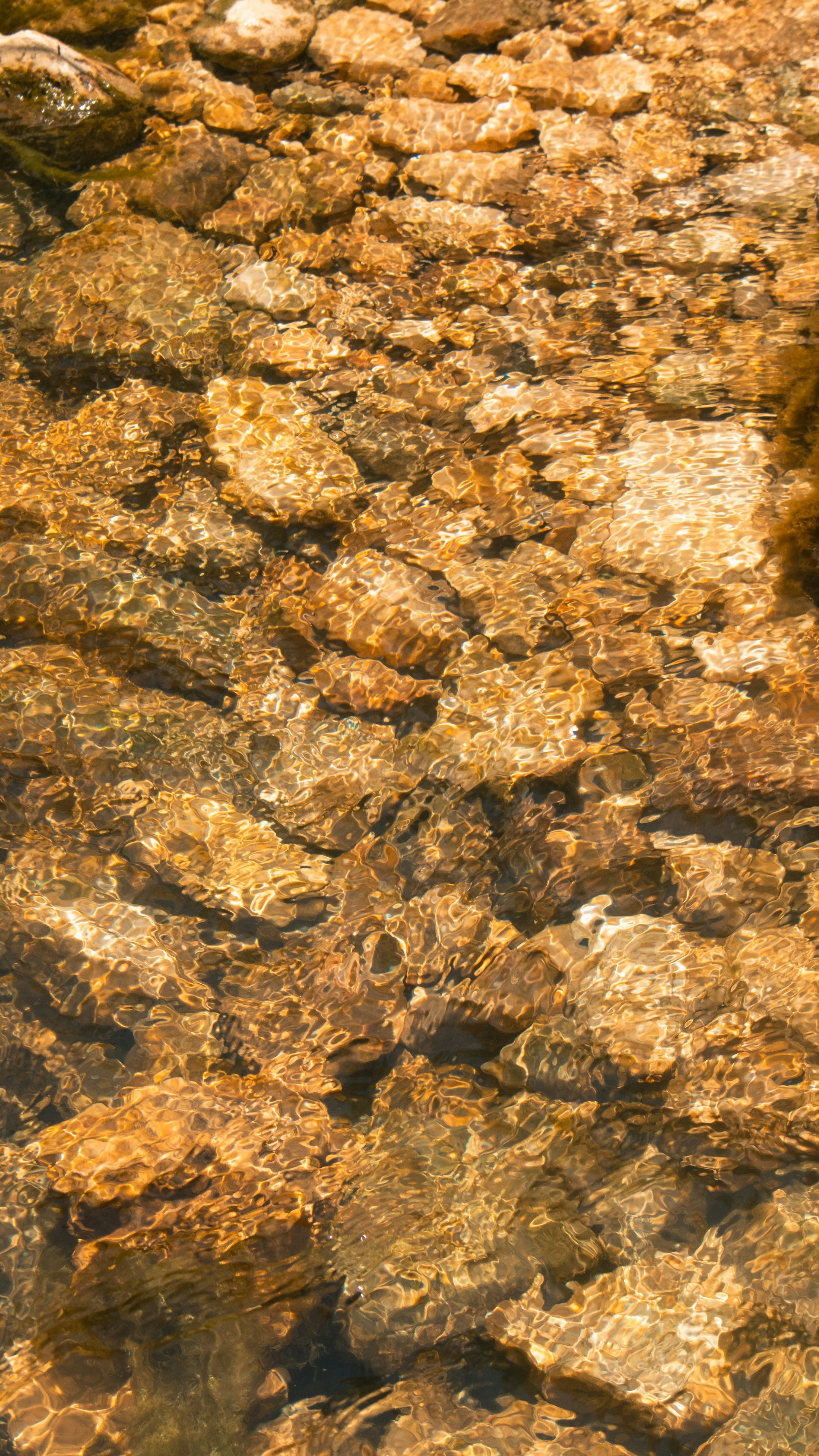 Sunlit Riverbed: Autumn Stones glistening beneath Clear Water