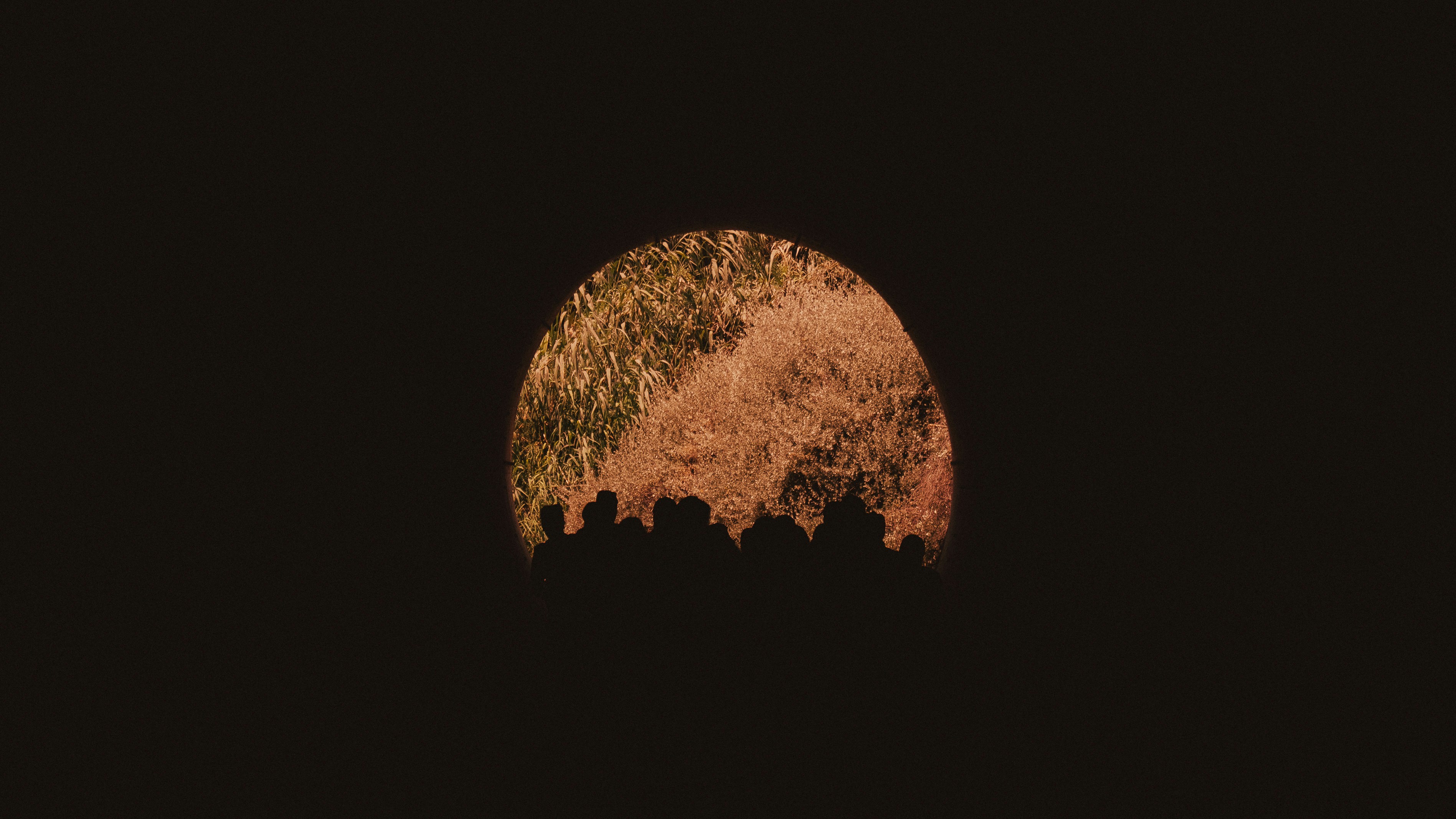 Moonrise Above the Crowd: The Silhouette at Dusk