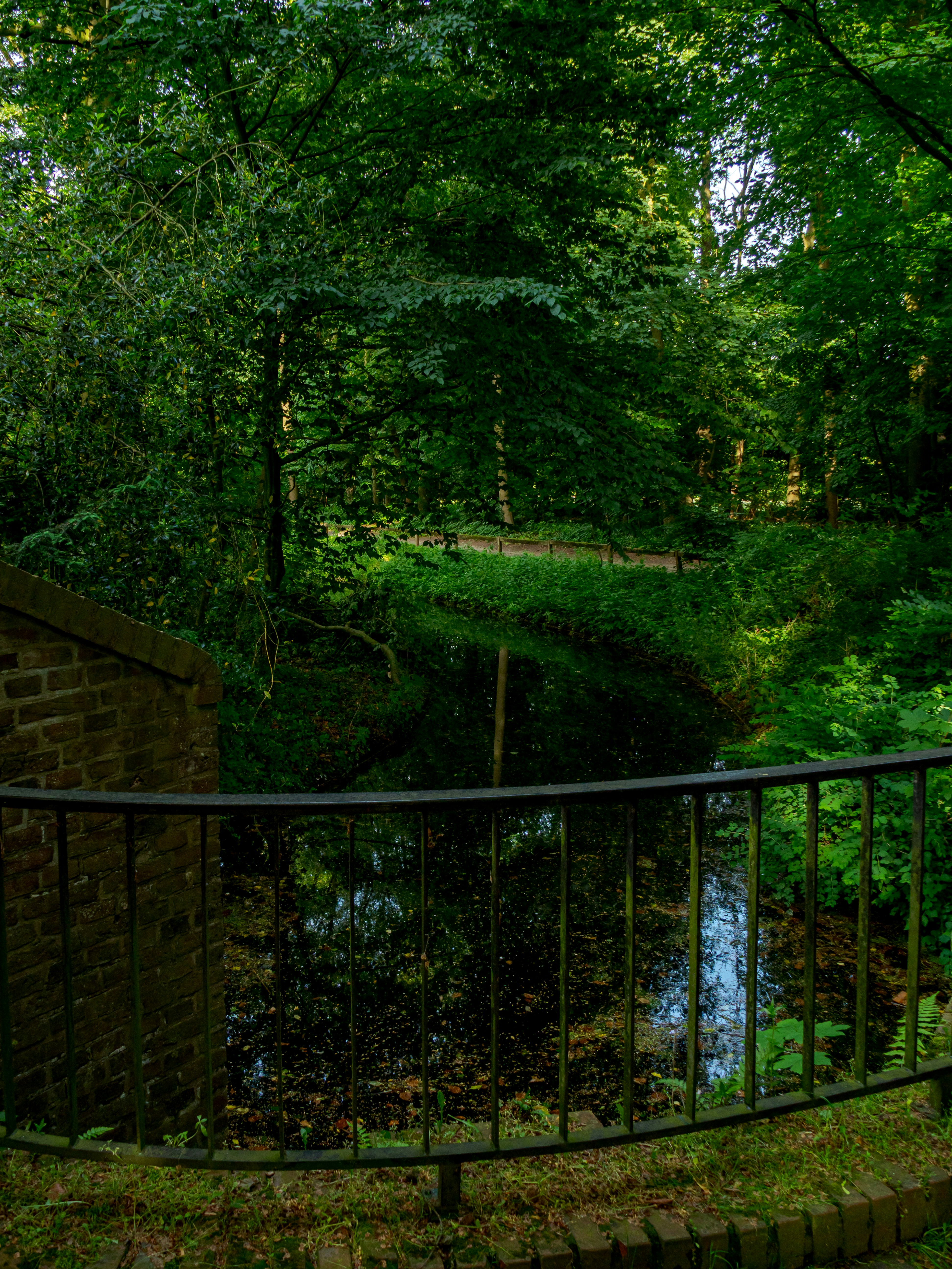 Green Archway Over a Quiet Canal