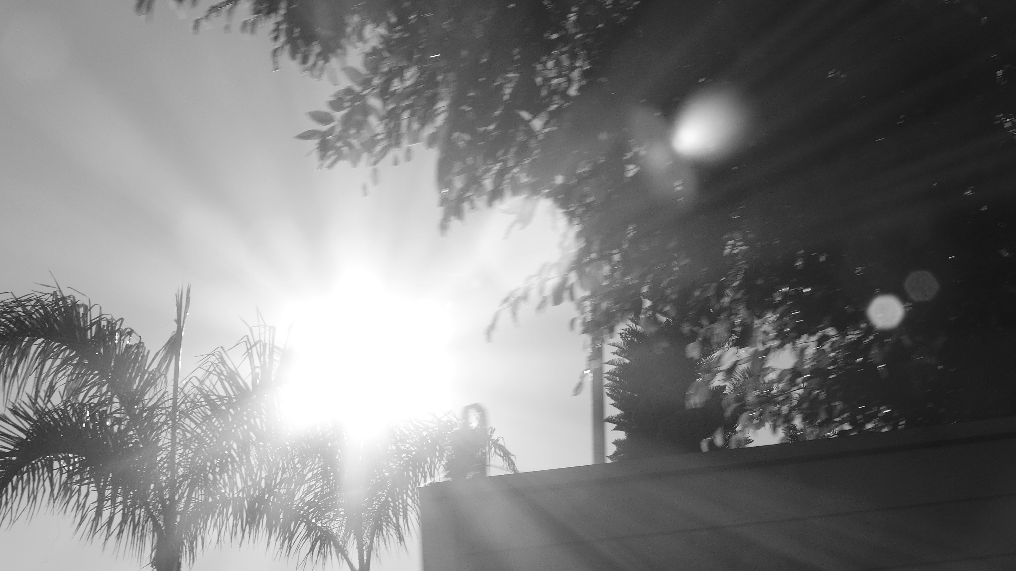 Sunburst Over the Courtyard: A Silhouetted Rooftop Moment
