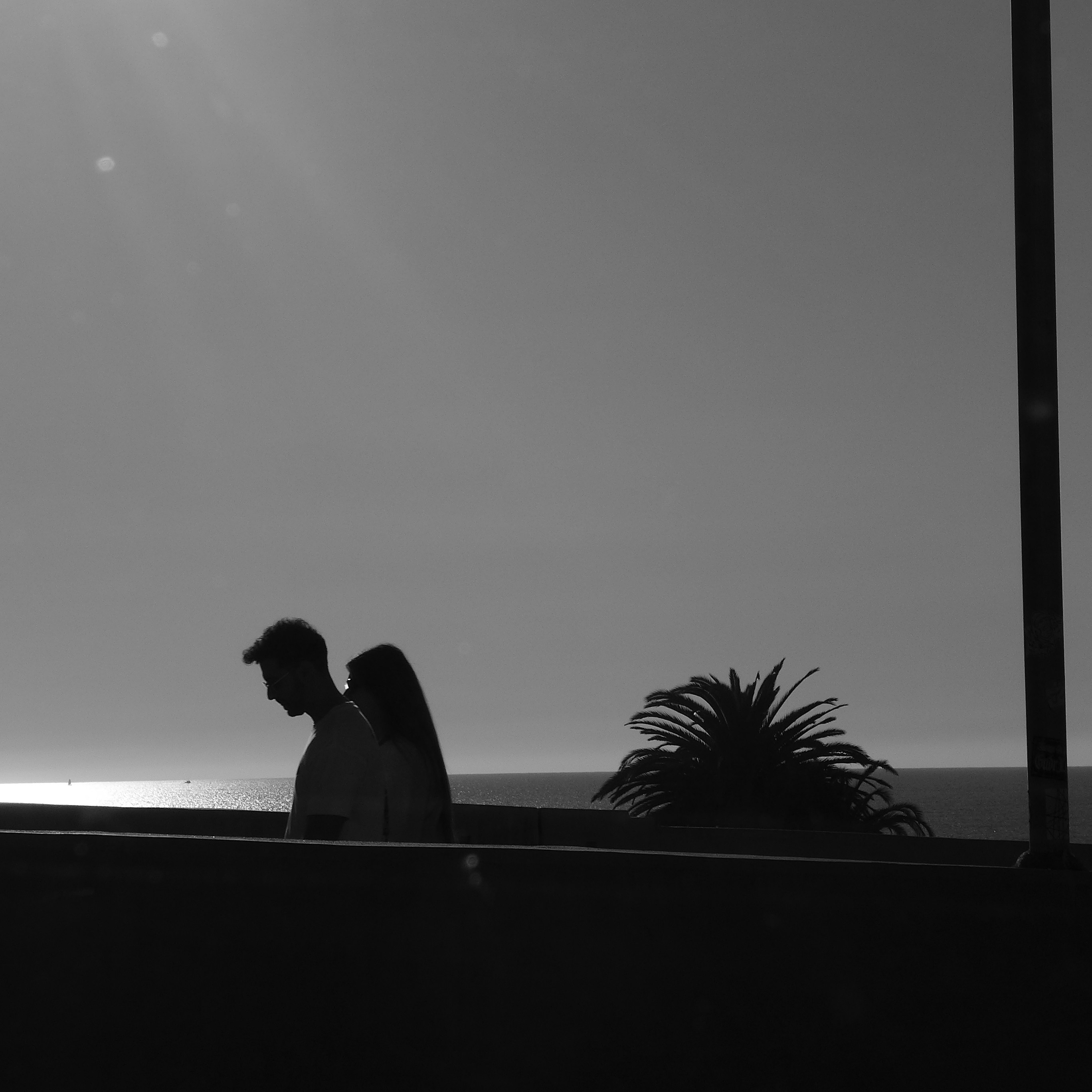 Silhouettes by the Sea: A Quiet Evening Stroll