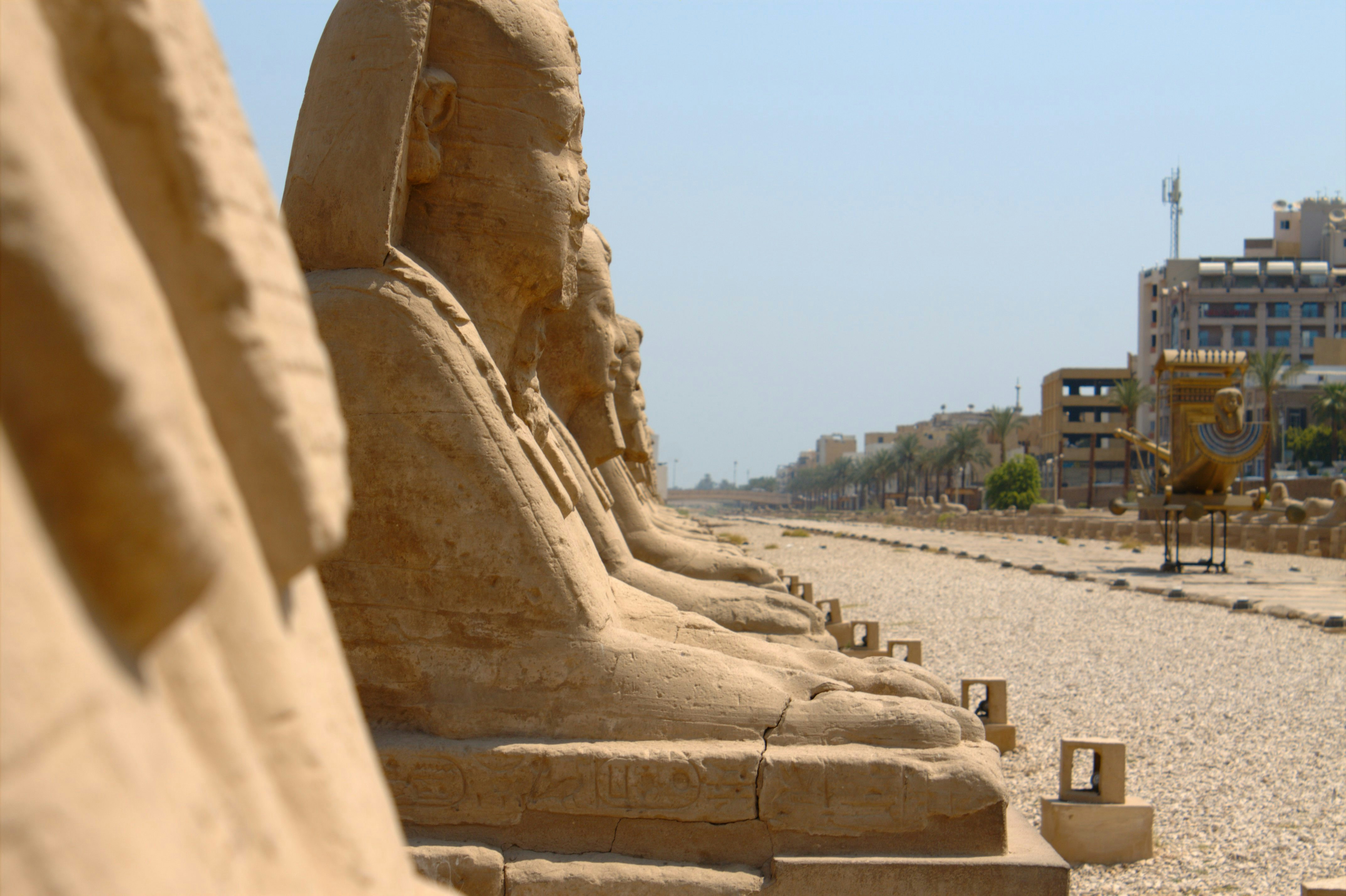 Line of Sphinxes: Sandcarved Guardians Along a Deserted Avenue