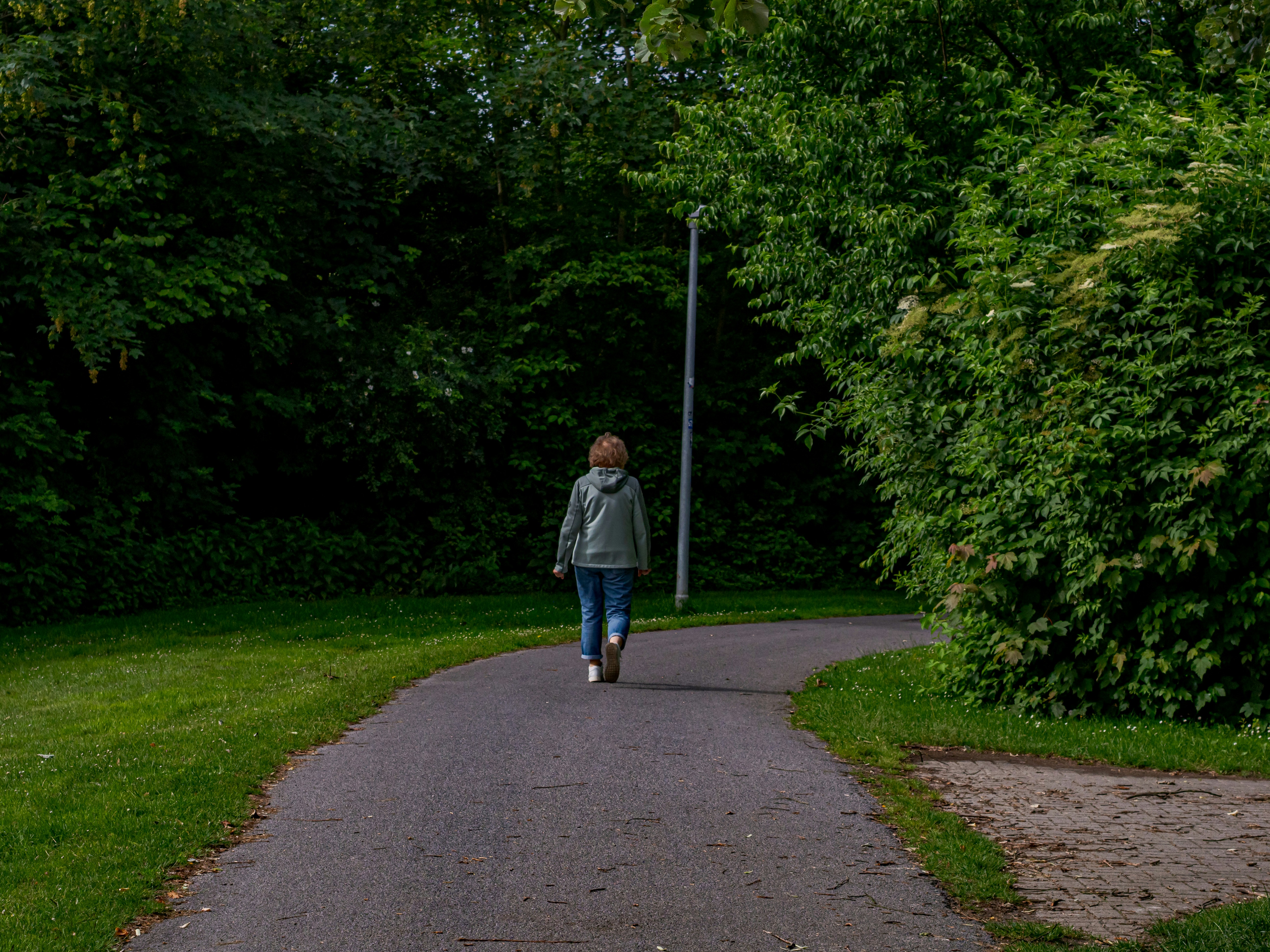 Path to the Lantern: A Figure Walking Down a Quiet Park Trail