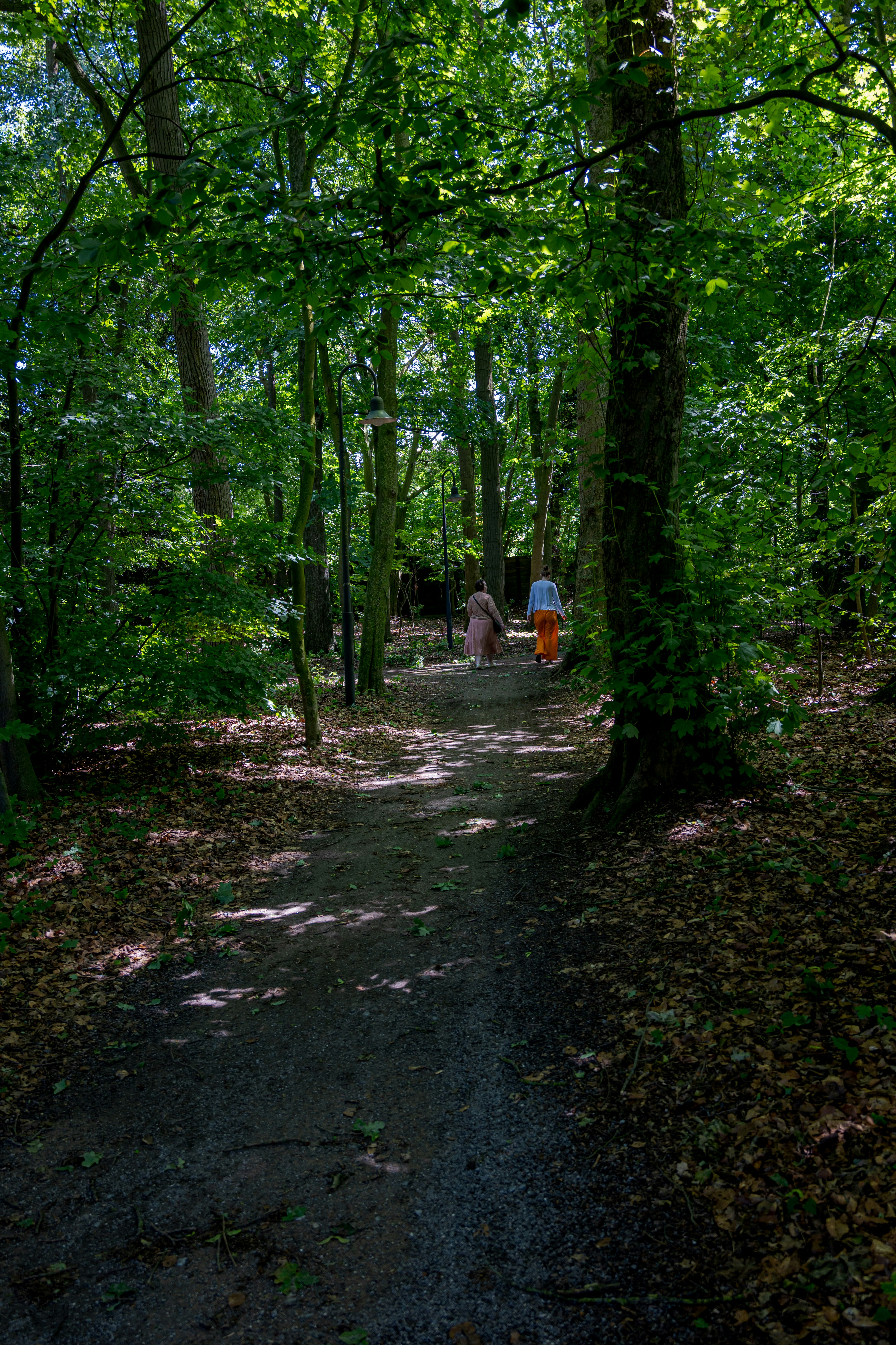 Forest Pathway to the Conversational Walkers