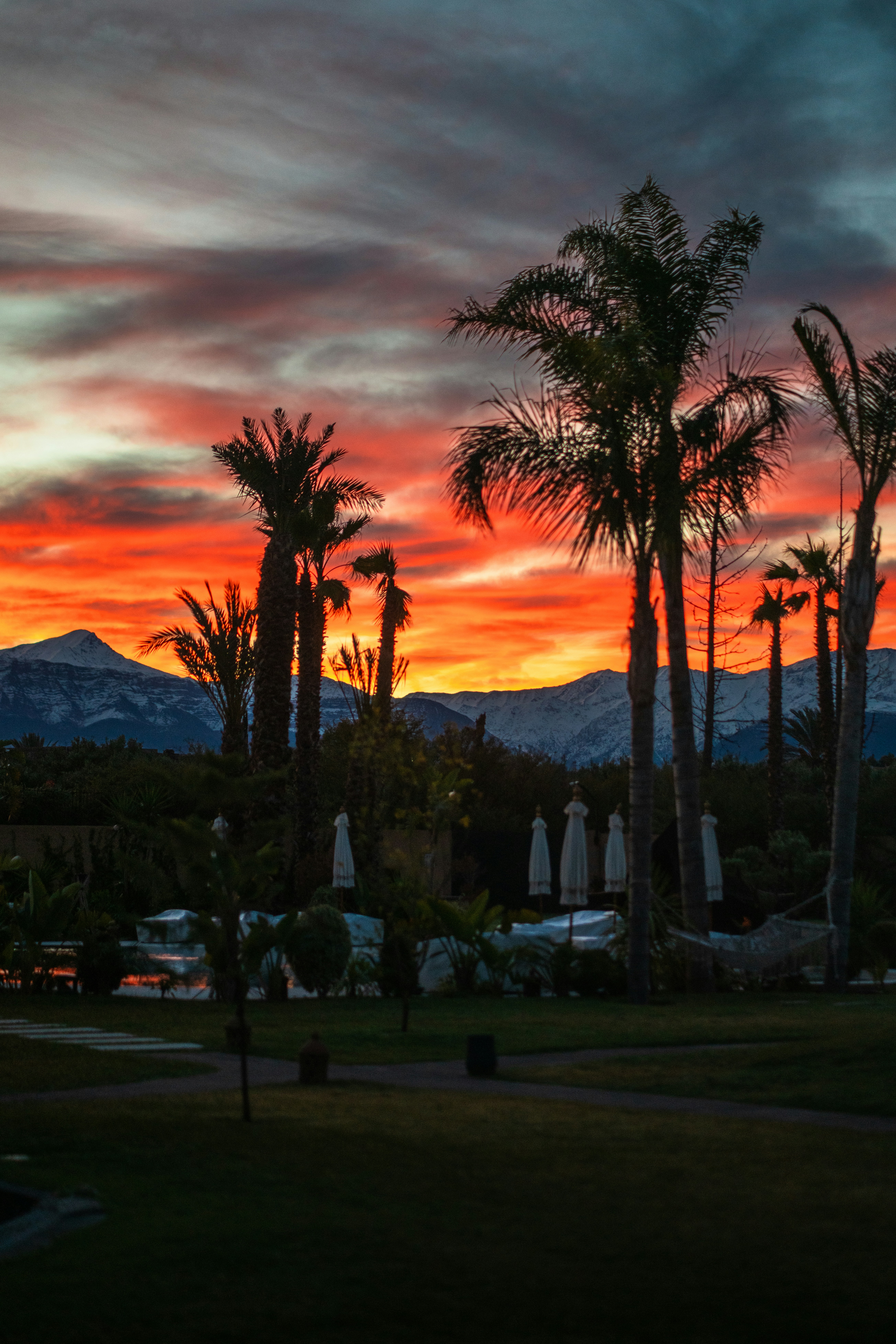 Crimson Horizon Over Palm-Lined Quiet