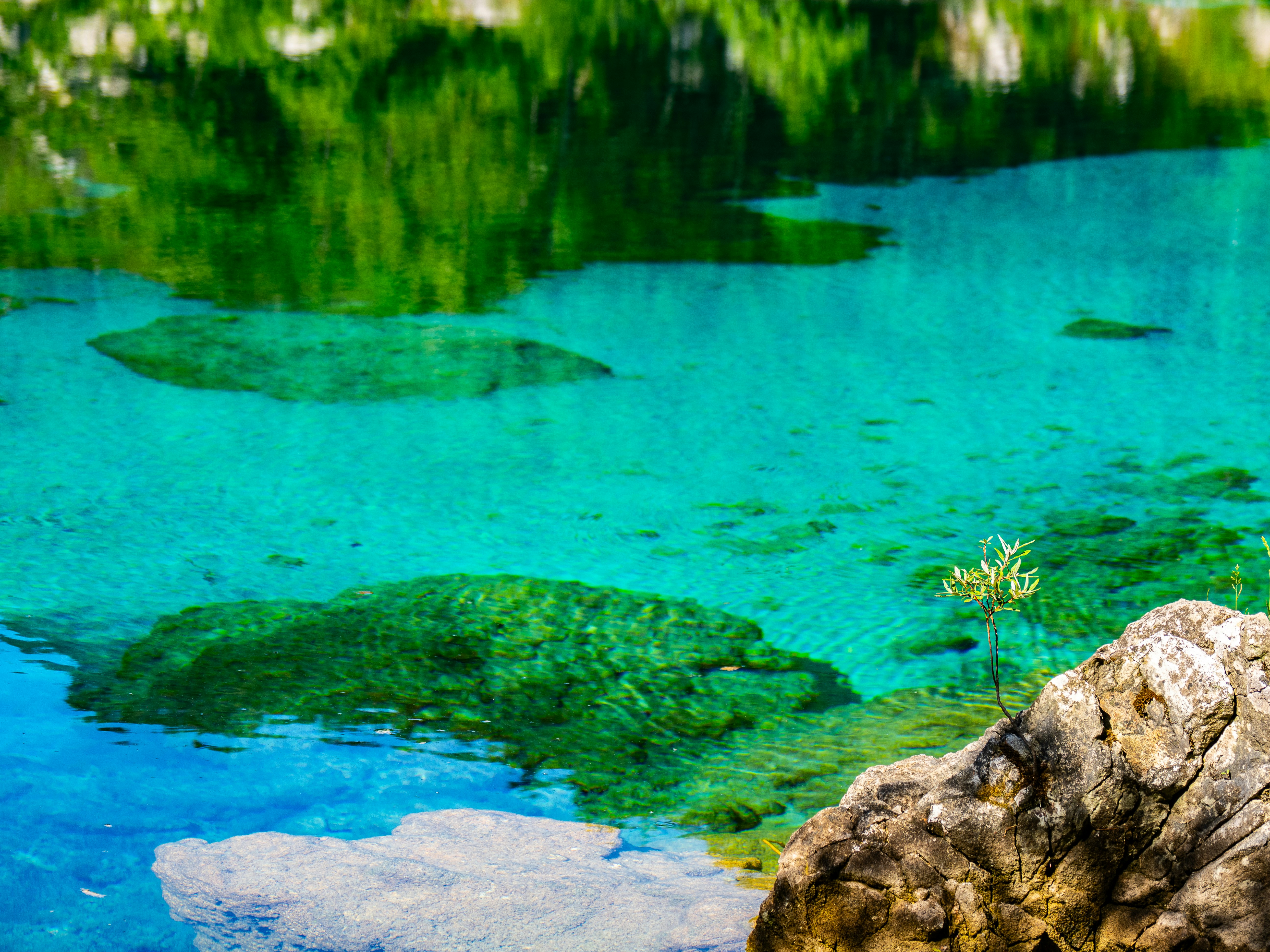 Turquoise Waters Embrace a Weathered Shore
