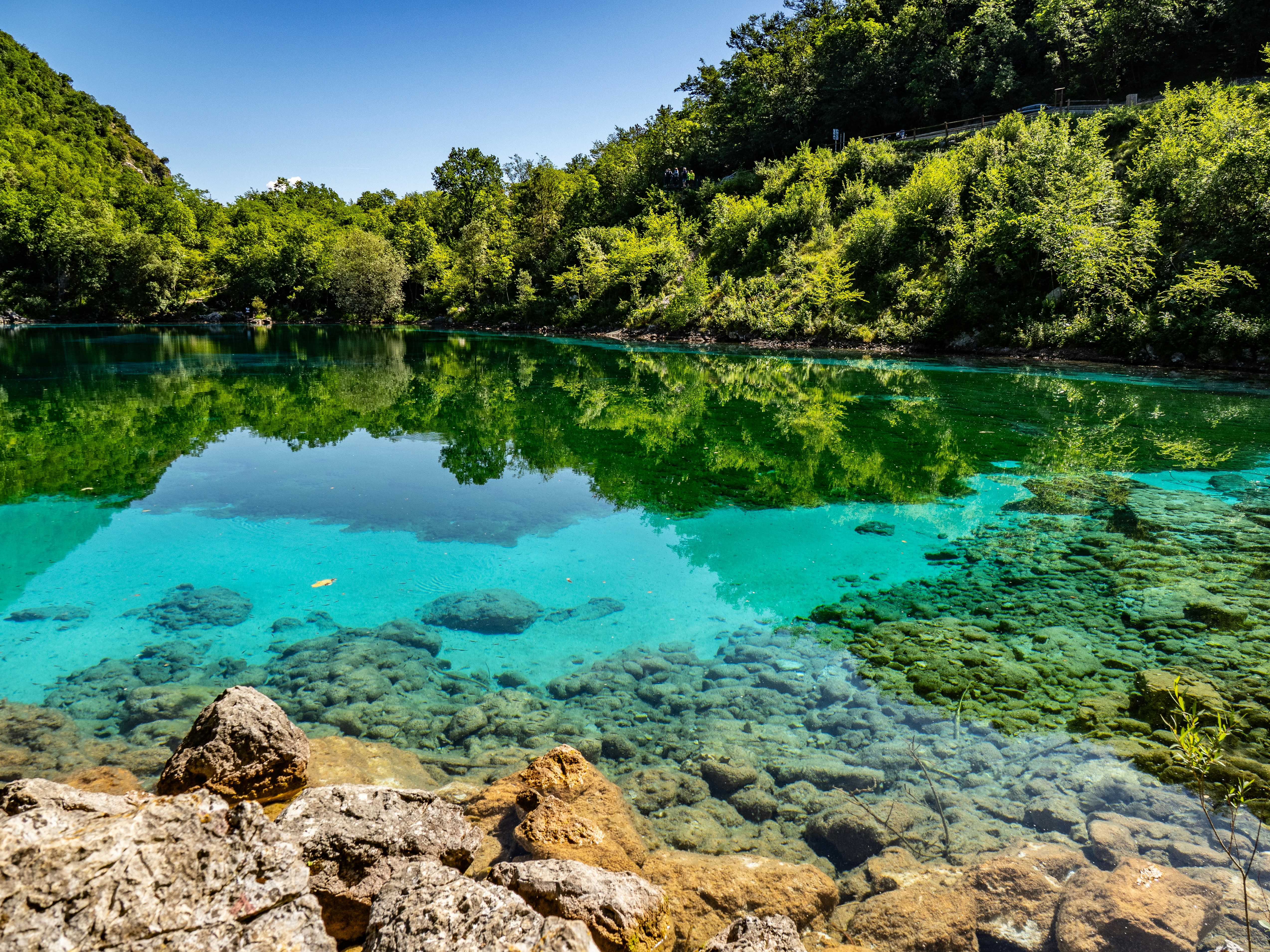 Emerald Mirror: Clear Waters Framing a Lush Riverbank