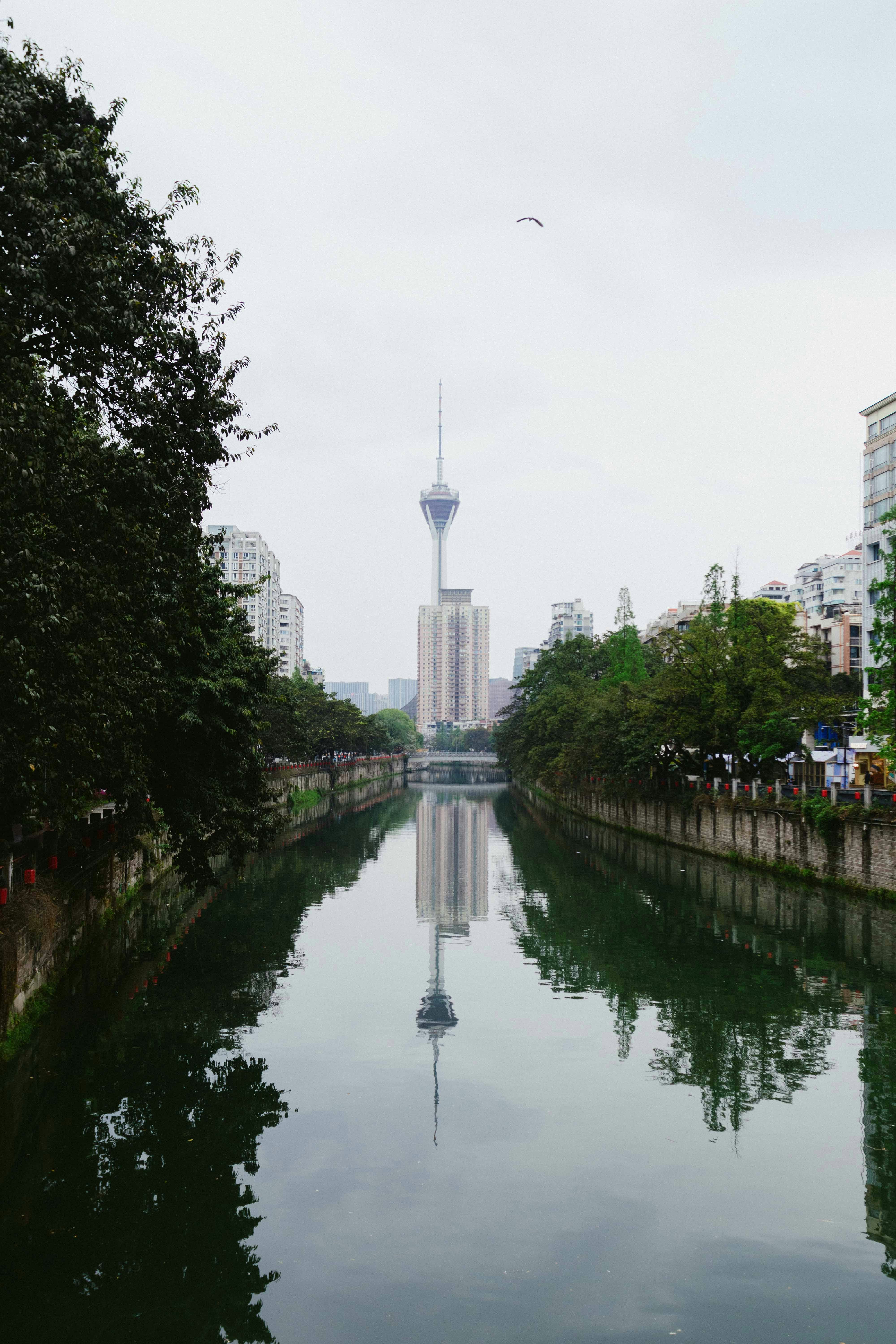 Twin Reflections: City Tower Rising Over a Quiet River