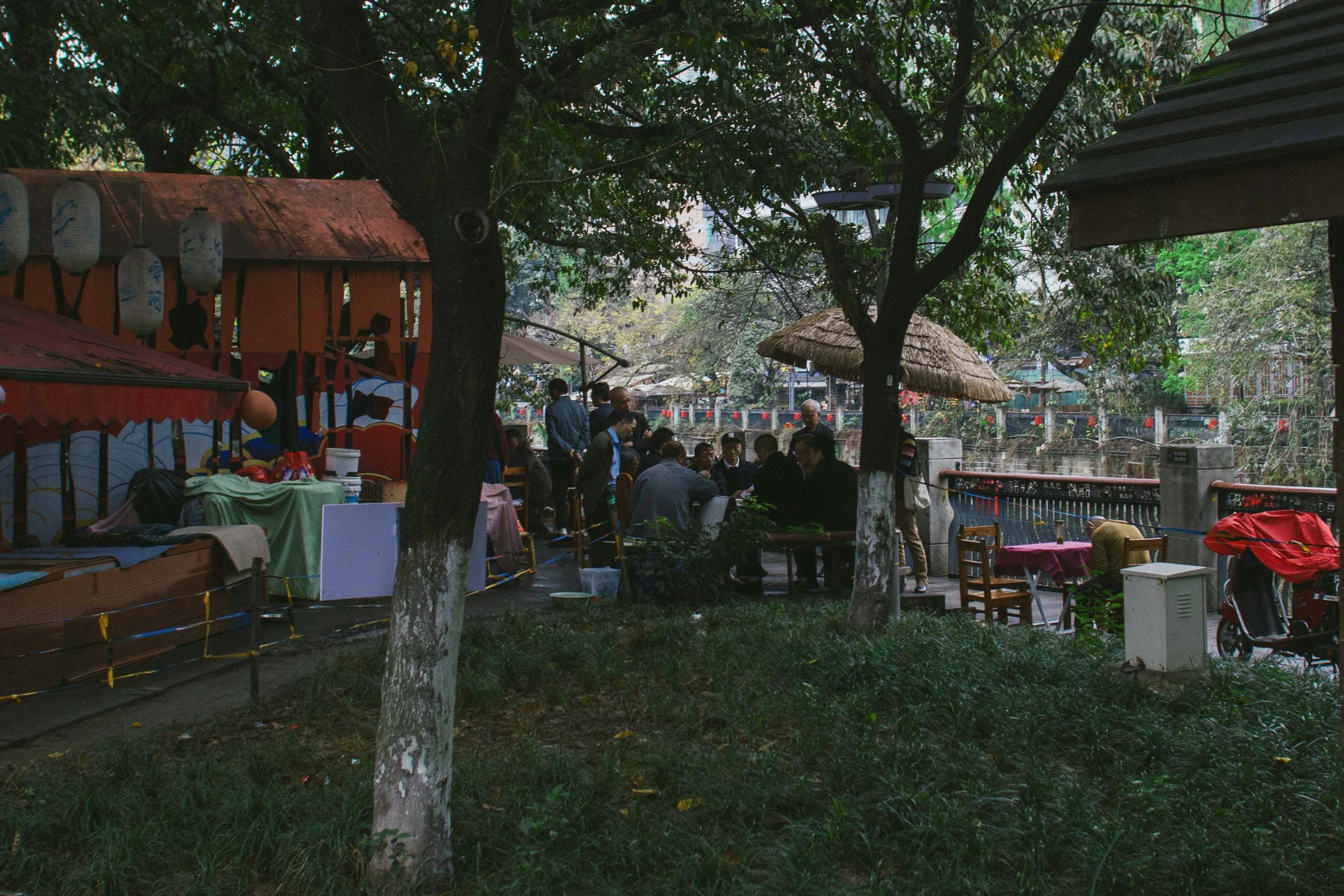 Courtyard Café at Sunset: Gathered Tables Under Leafy Canopy