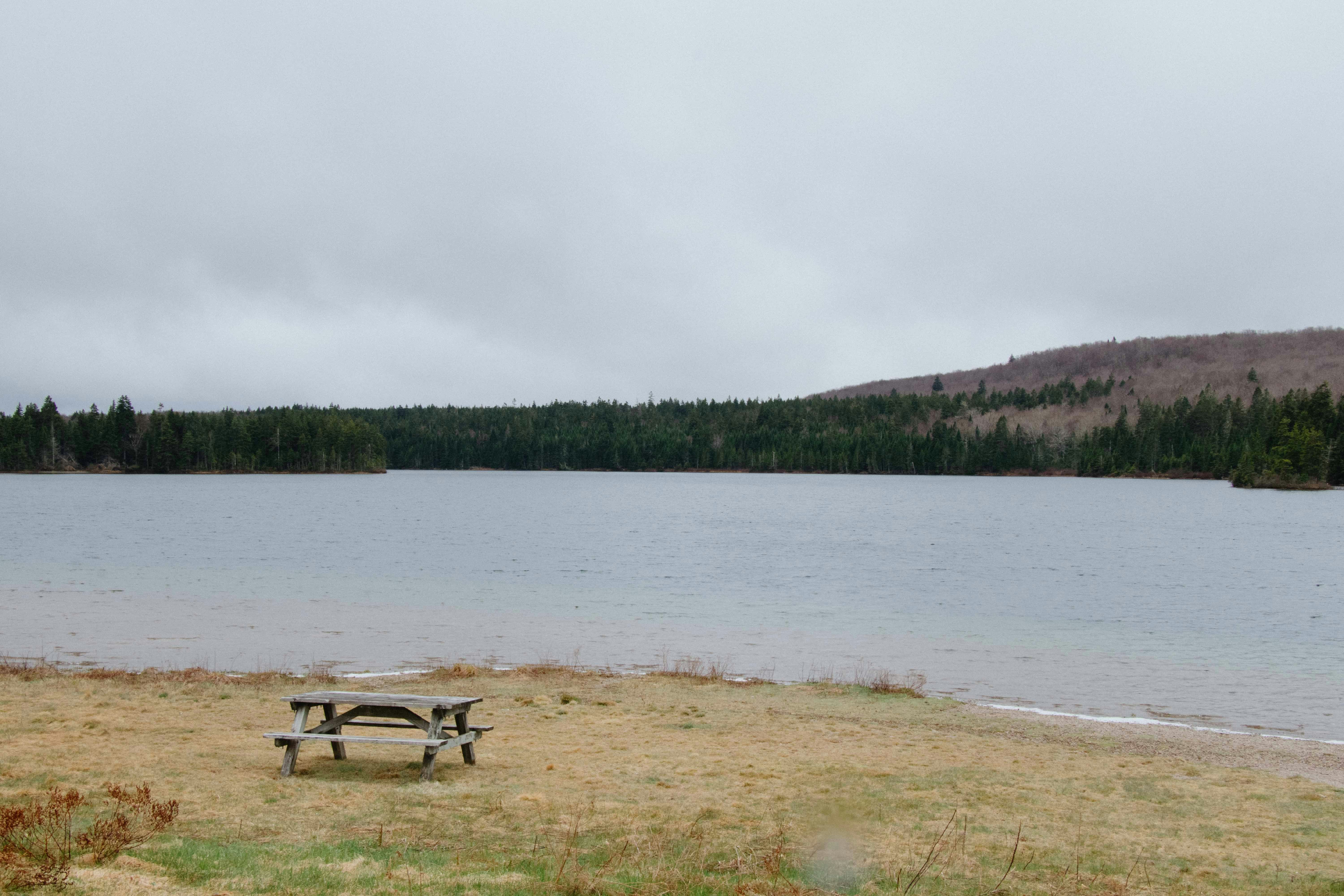 Quiet lakeside retreat with weathered picnic table at the shoreline