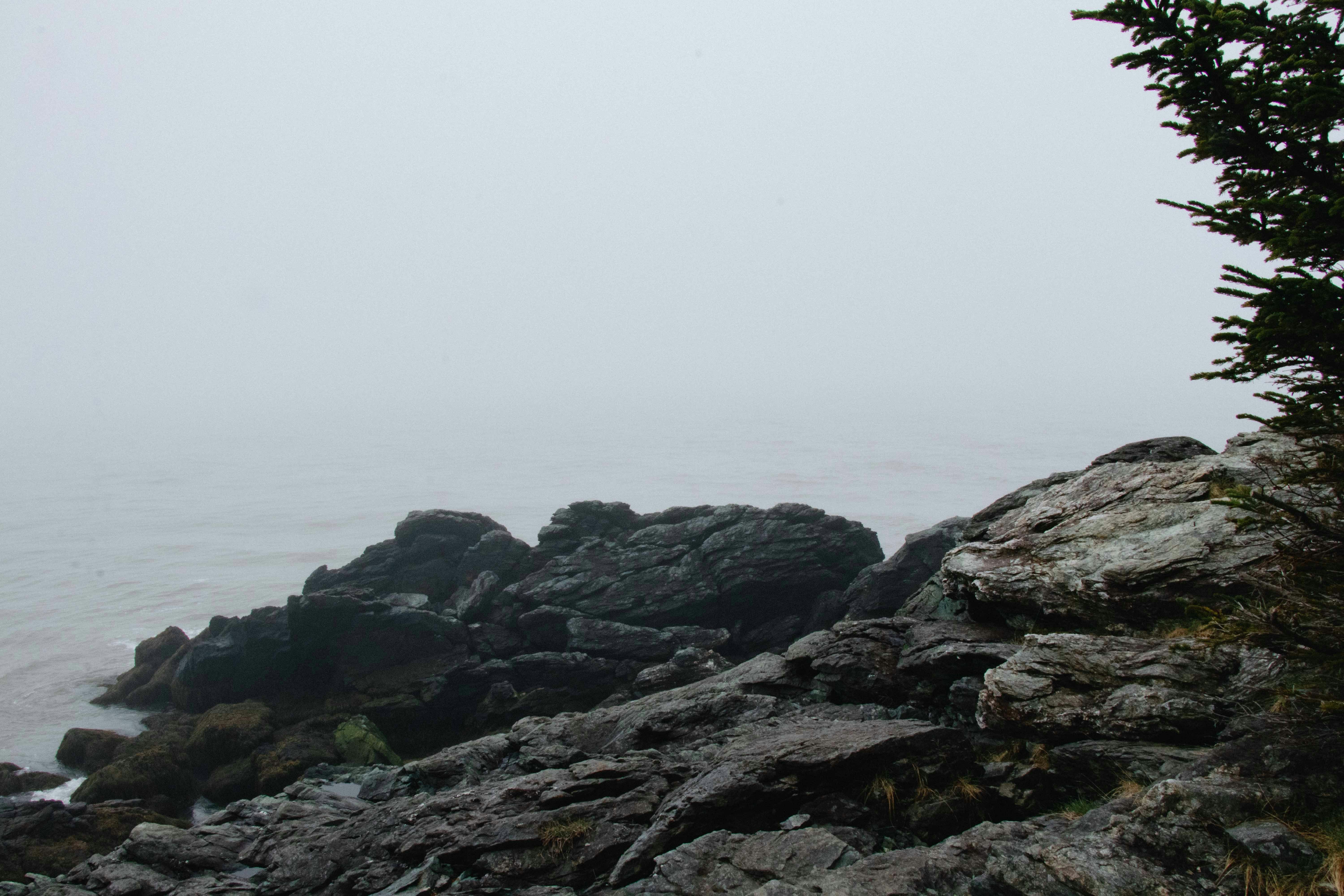 Mist over rugged shoreline: rocks meeting a quiet horizon