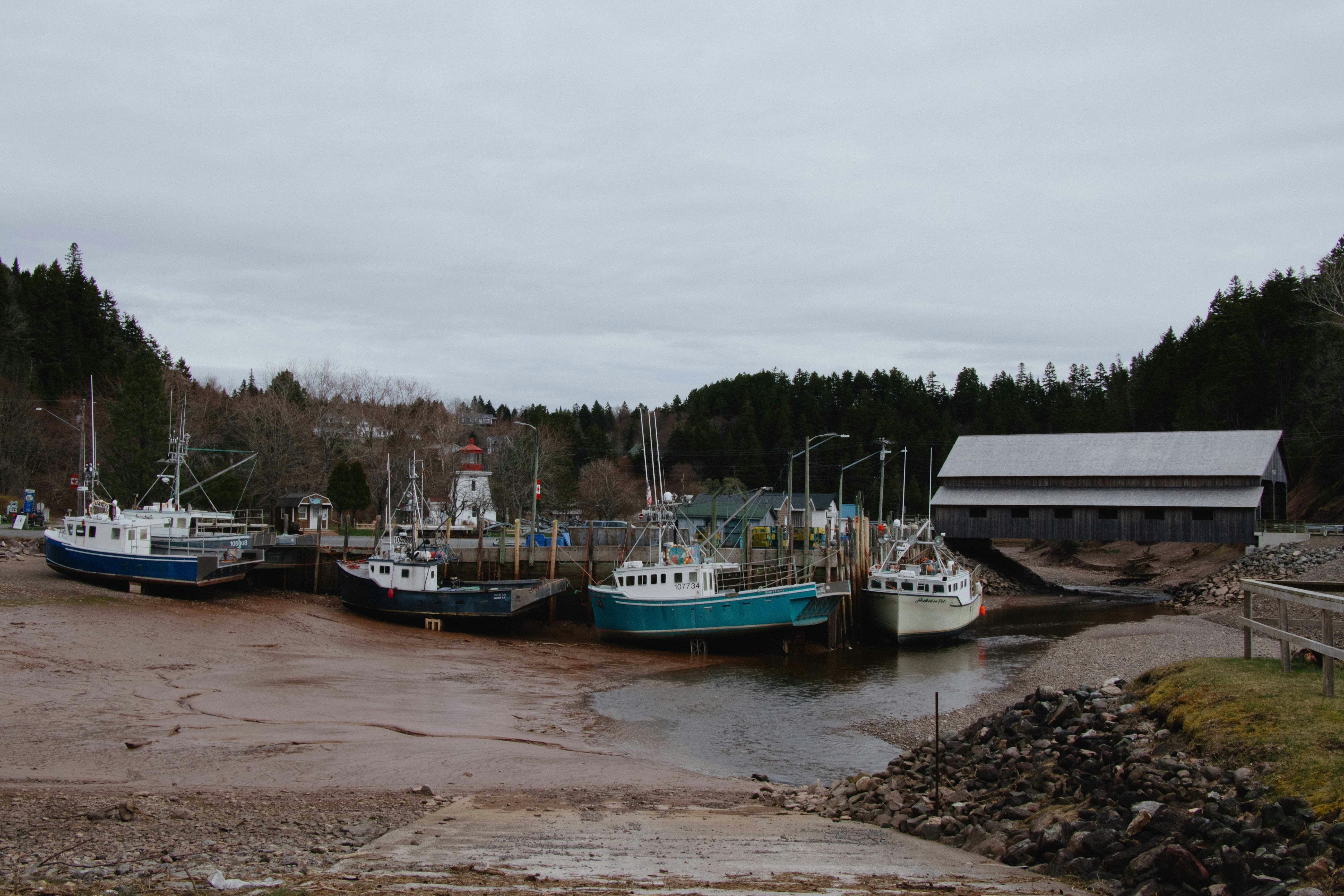 Harbor Boats Rest at Low Tide by a Quiet Wharf