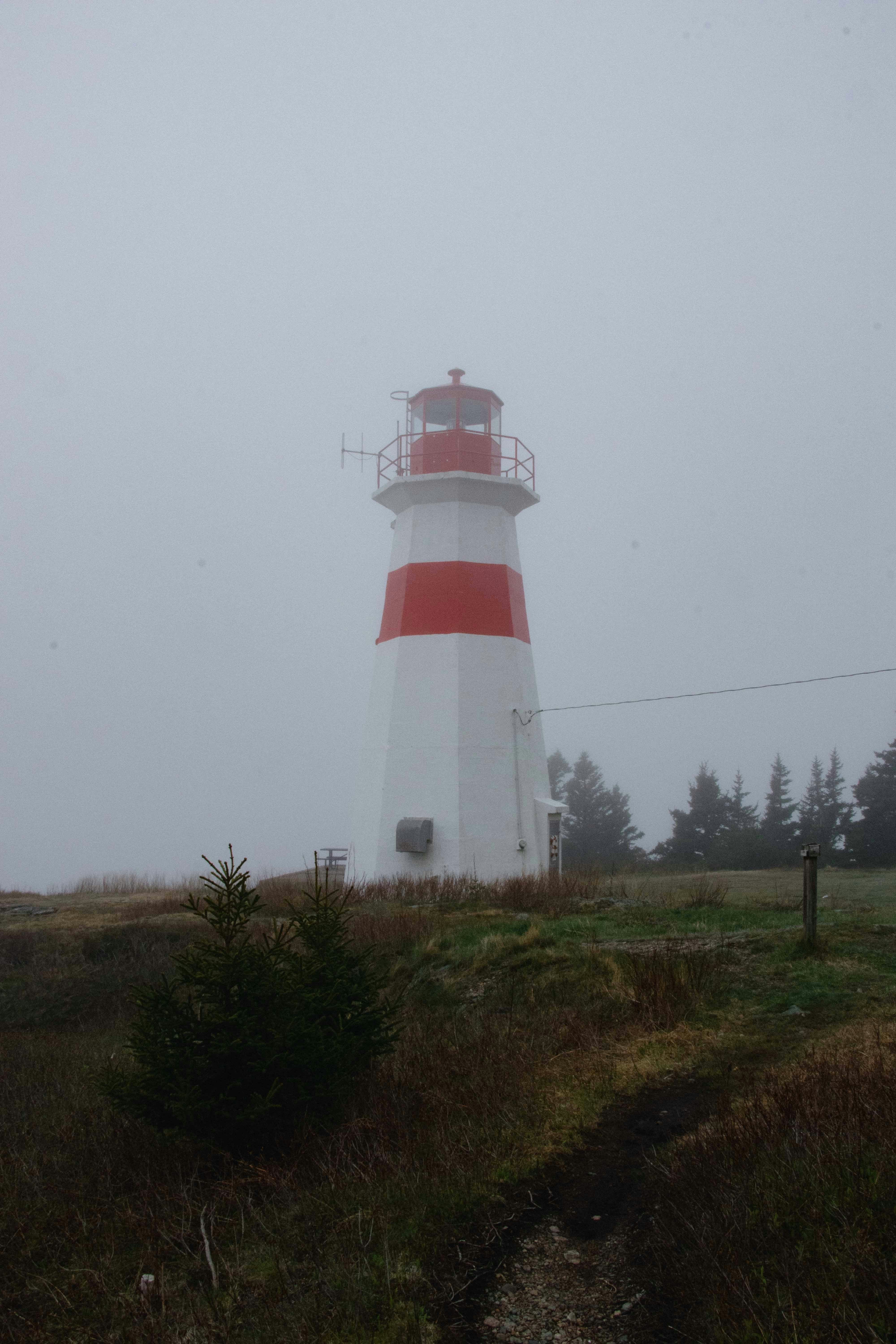 Mist-Shrouded Harbor Beacon