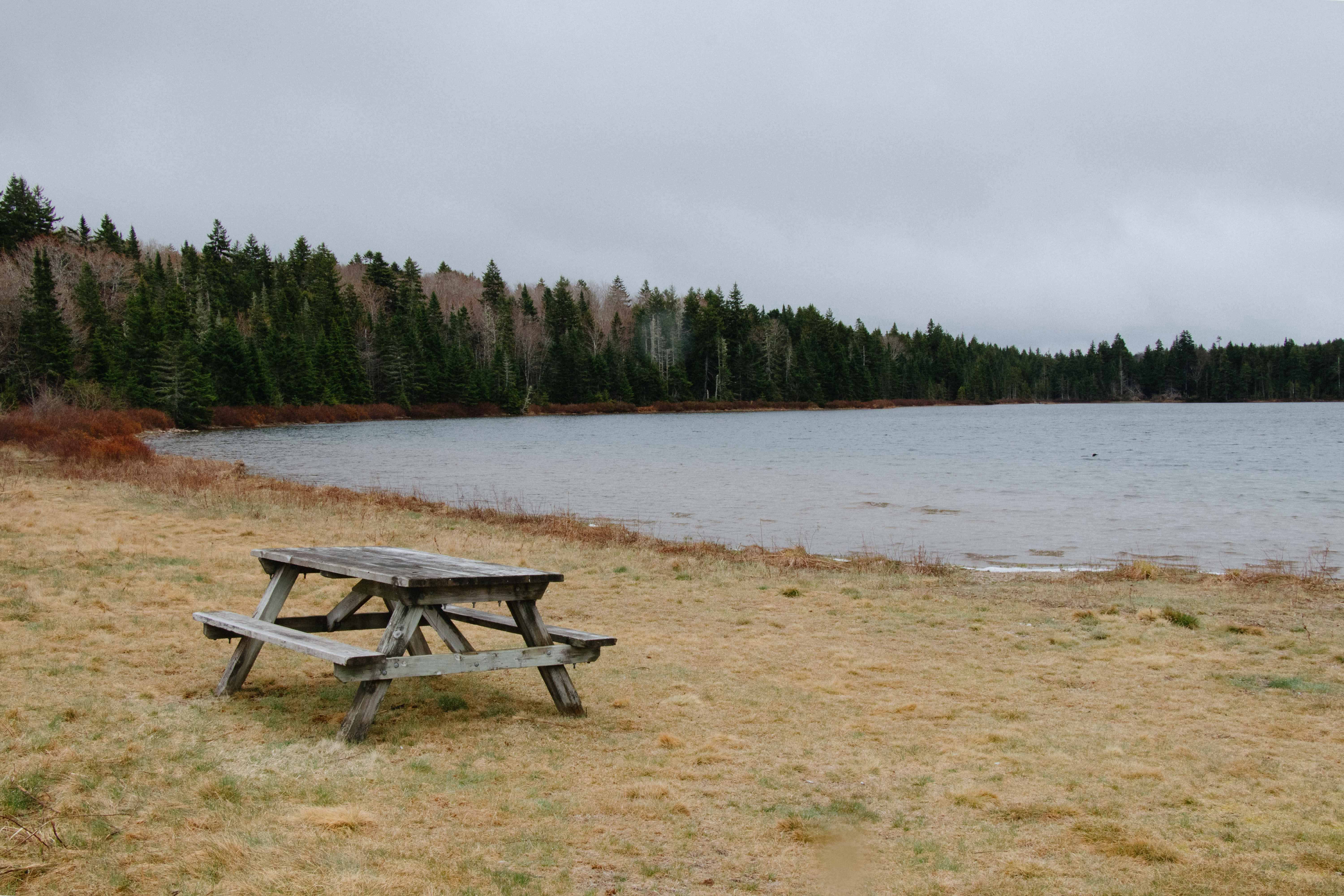 Quiet Lakefront with Weathered Picnic Table