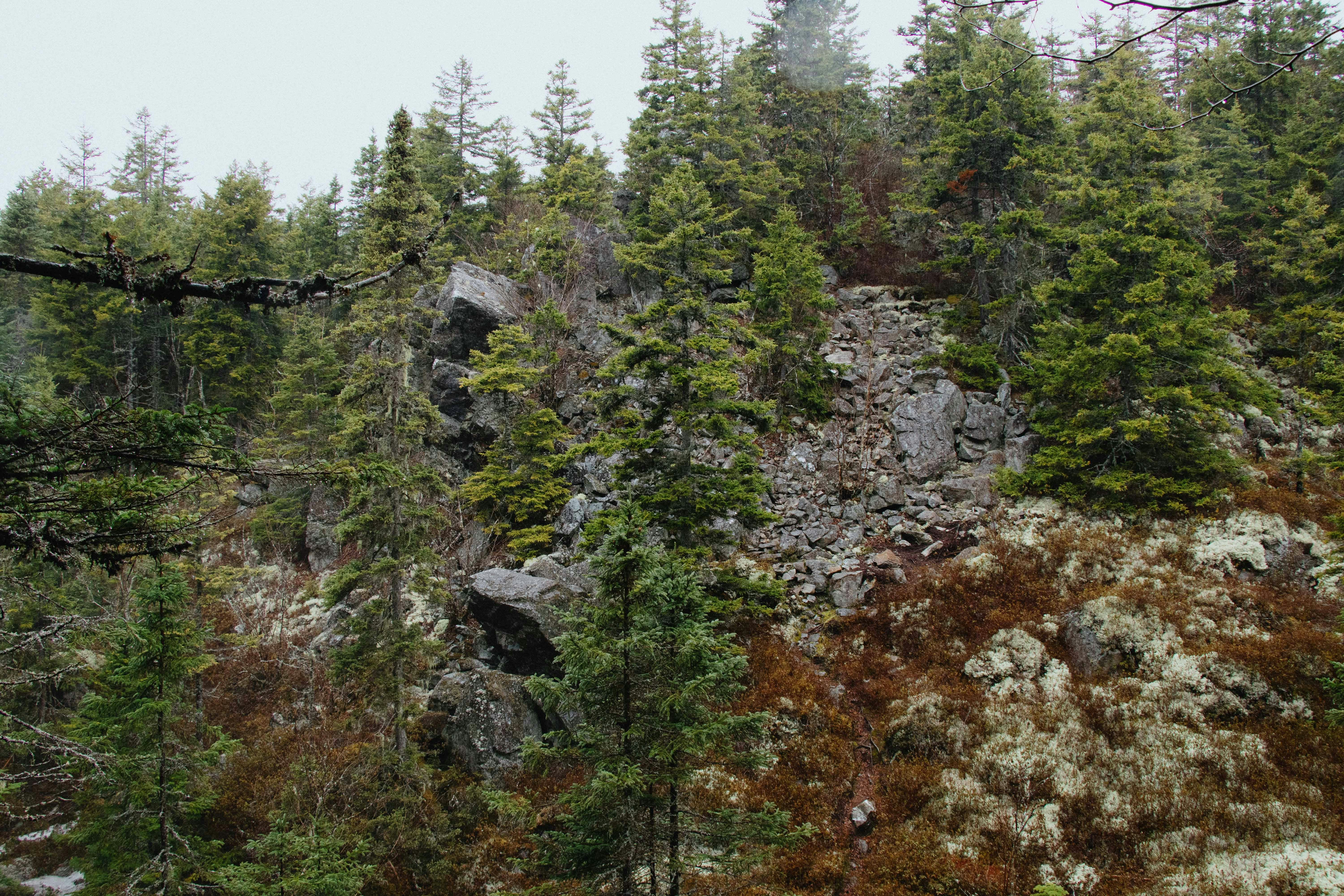 Rugged overlook: granite boulders and pines clinging to a mossy slope