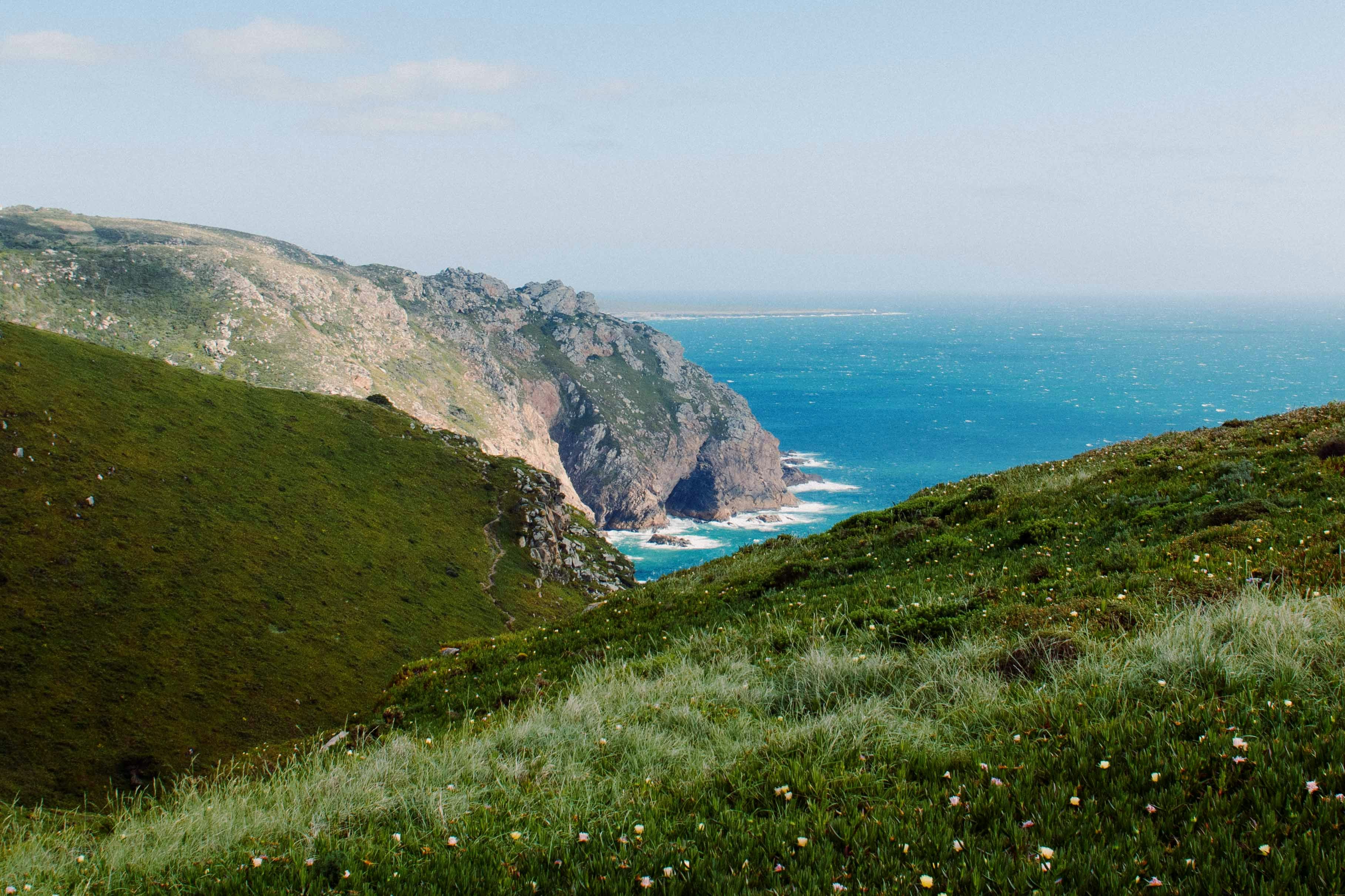 Sea-cliff Panorama: Green Slope Meeting the Atlantic Blue