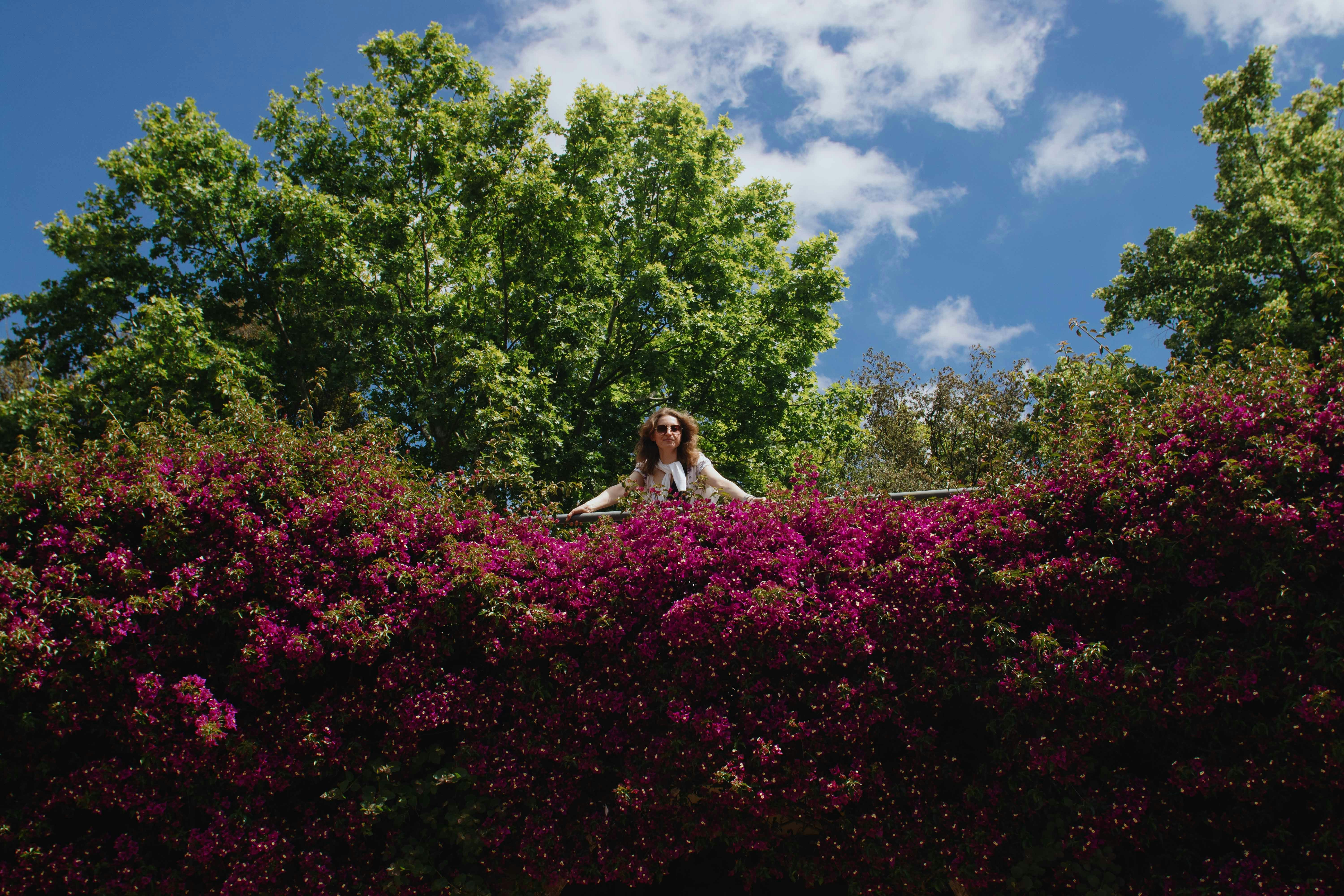 Woman on a flowering hedge under a bright sky