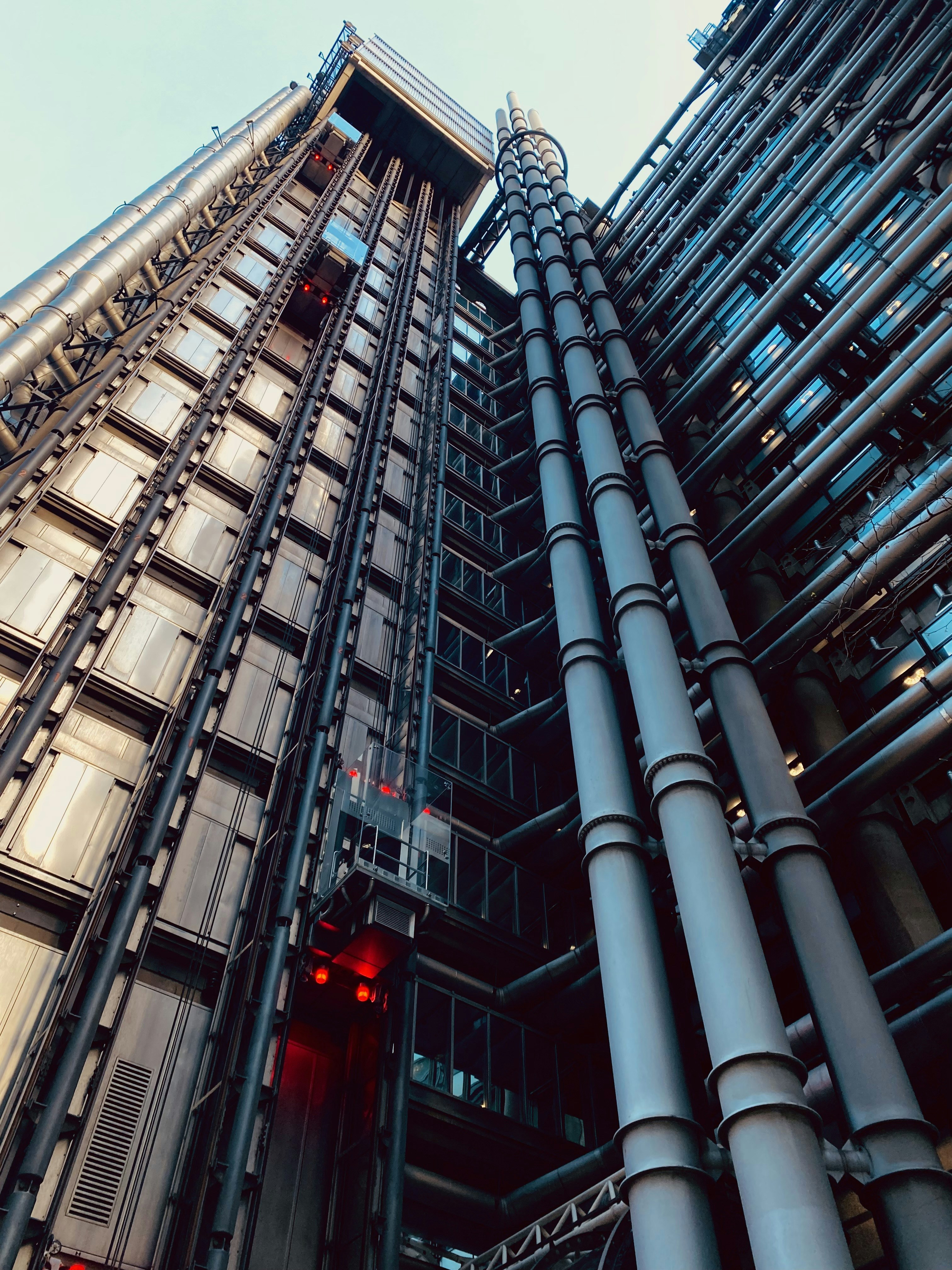 Steel Veins Reaching Skyward: An Urban Portrait of Structure and Light
