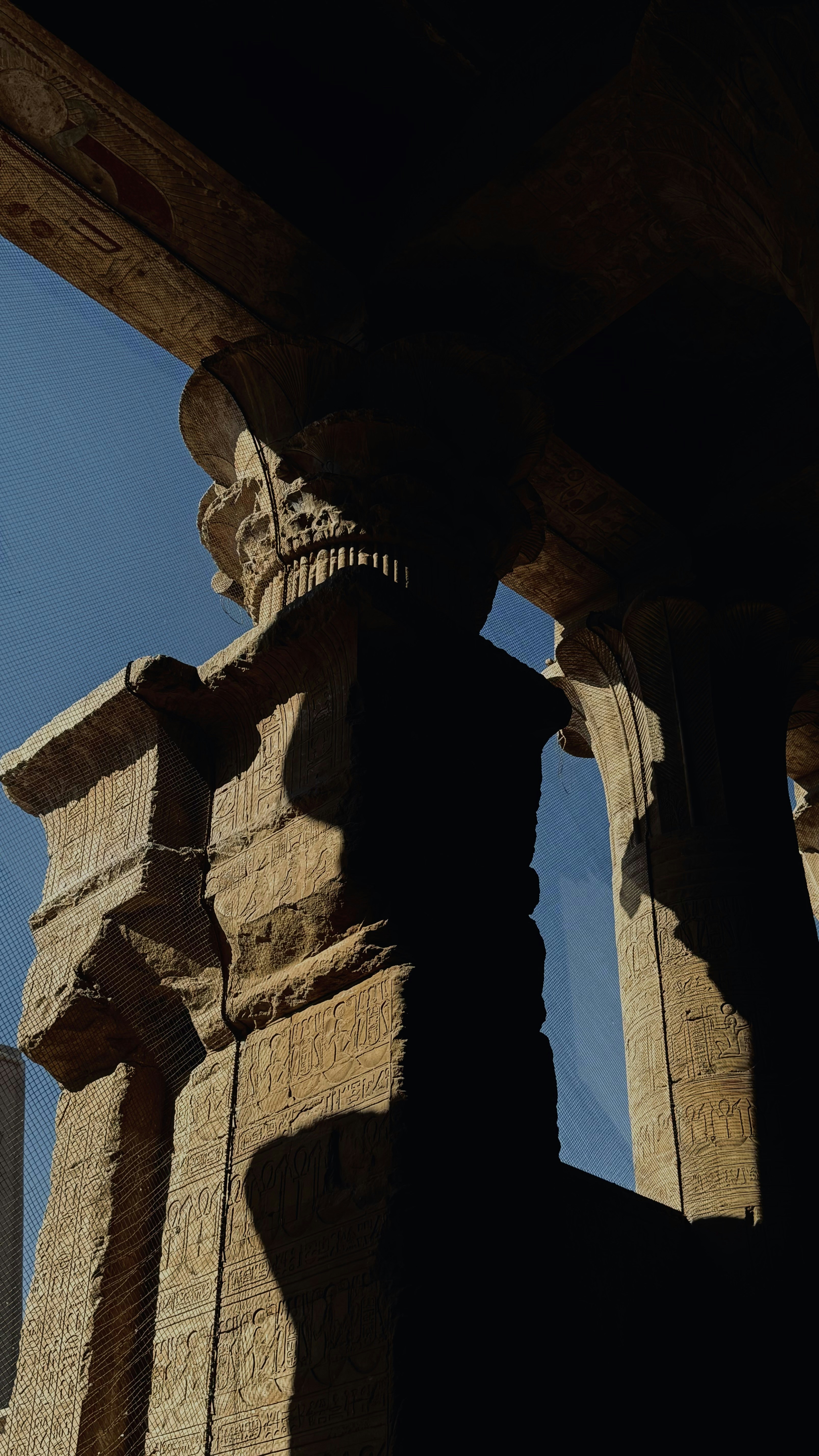 Sunlit Carved Columns in Shadowed Ruins