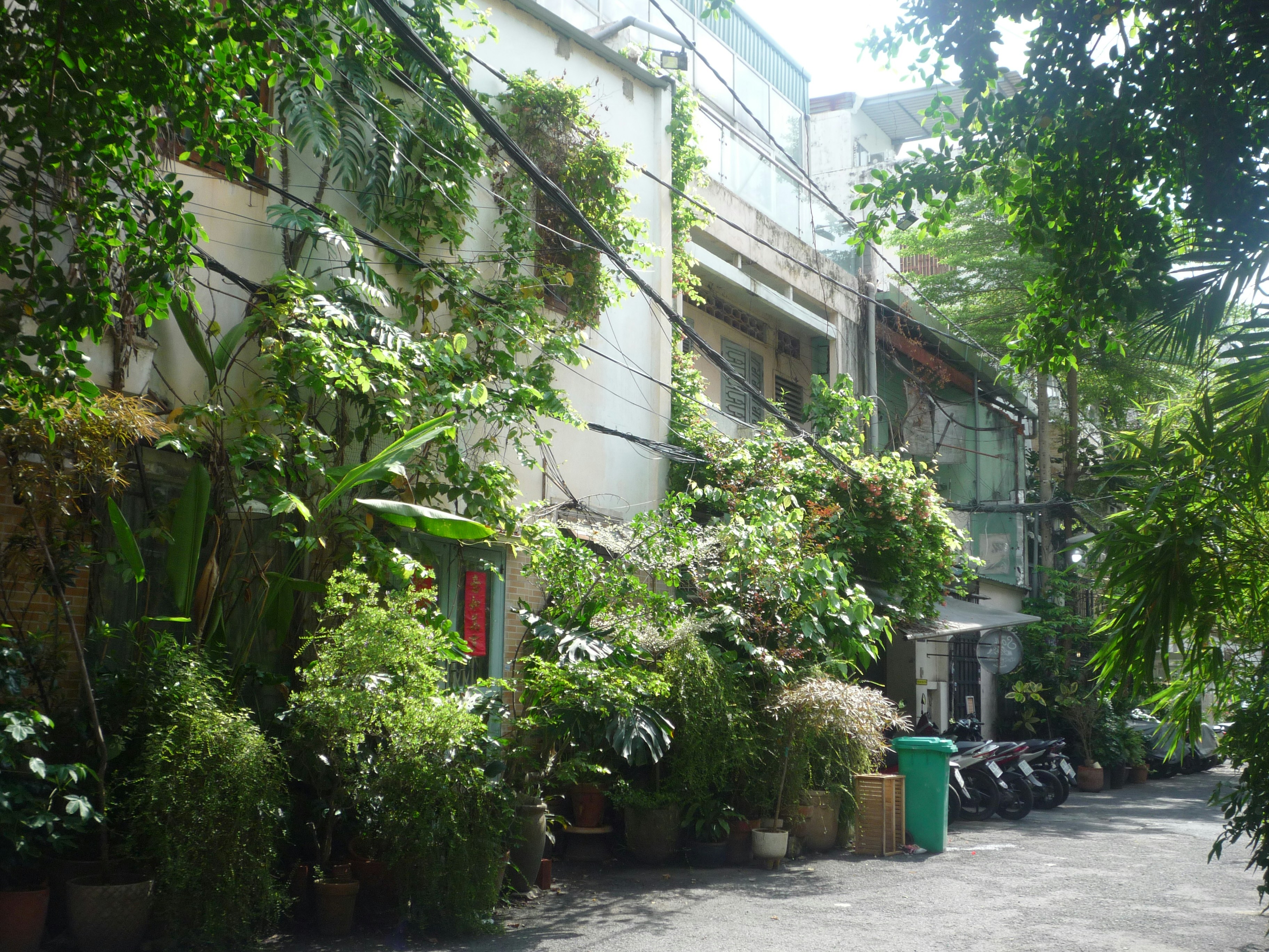 Lush plants crowd along a sunlit alley with a concrete building façade and parked scooters.