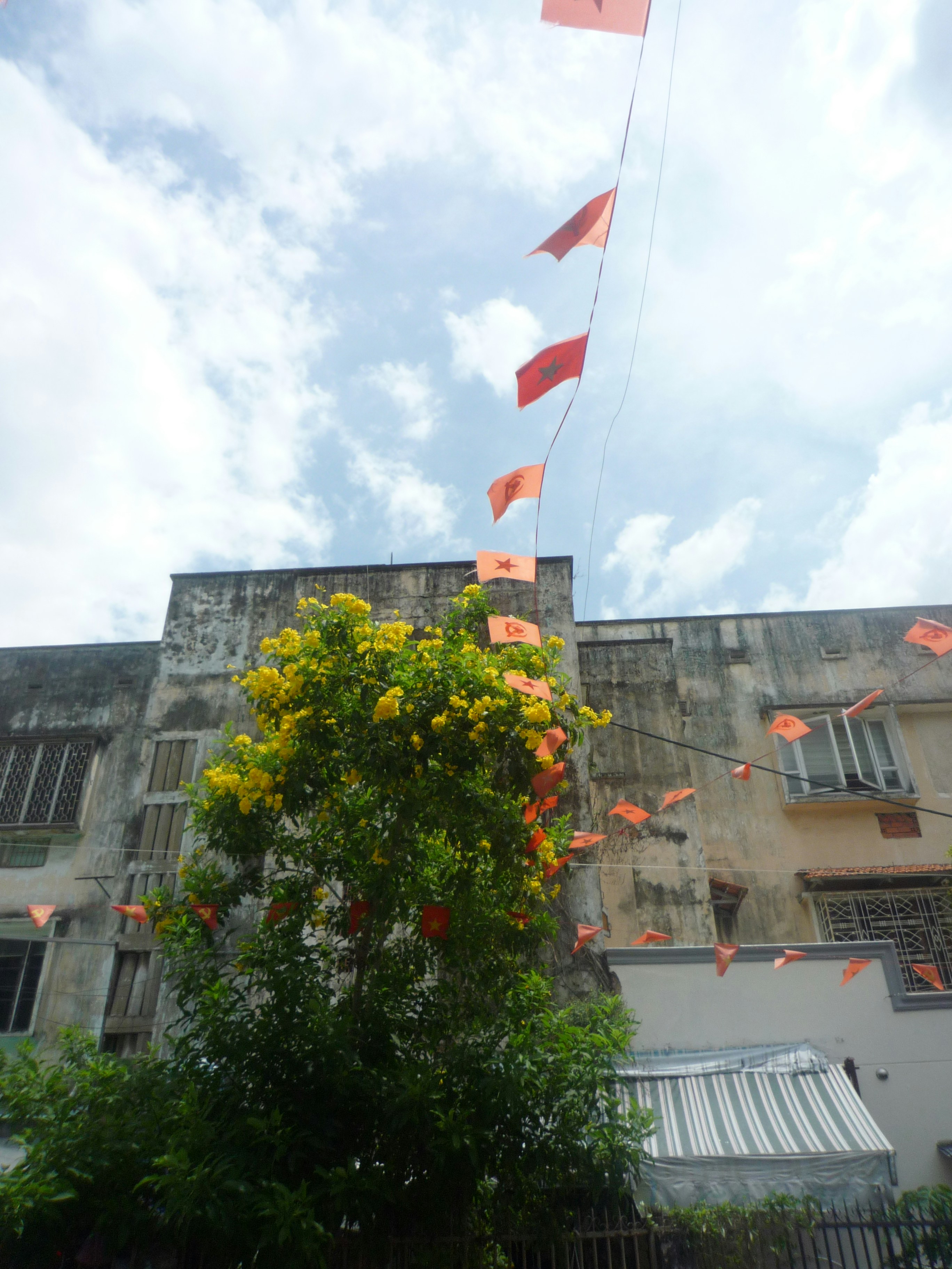 Flag-bedecked courtyard under a bright sky with a flowering tree