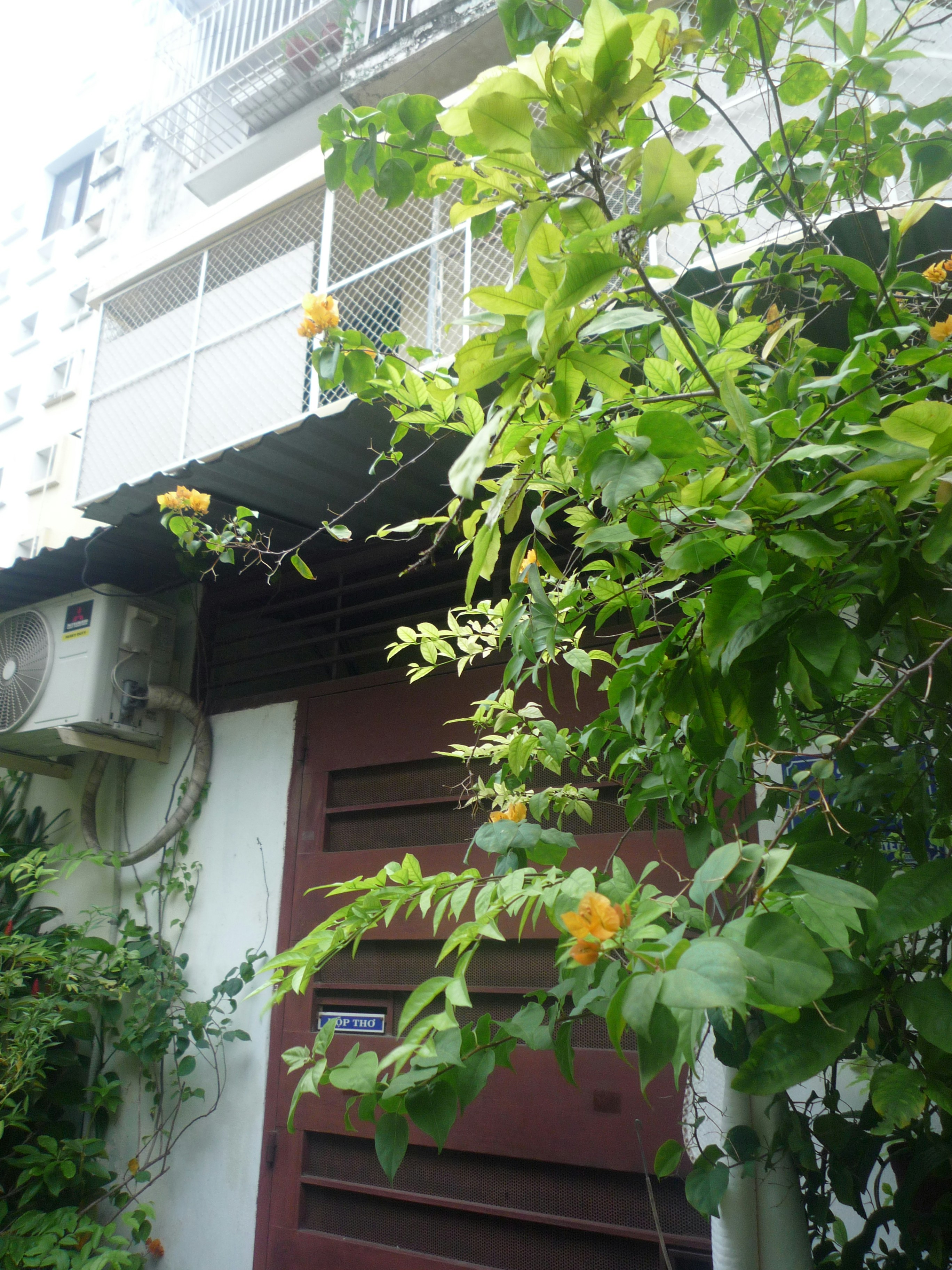 Sun-drenched doorway framed by lush green vines and bright orange blossoms beside an apartment building, with a clamp-style air conditioner on the left and a red door as the focal point.