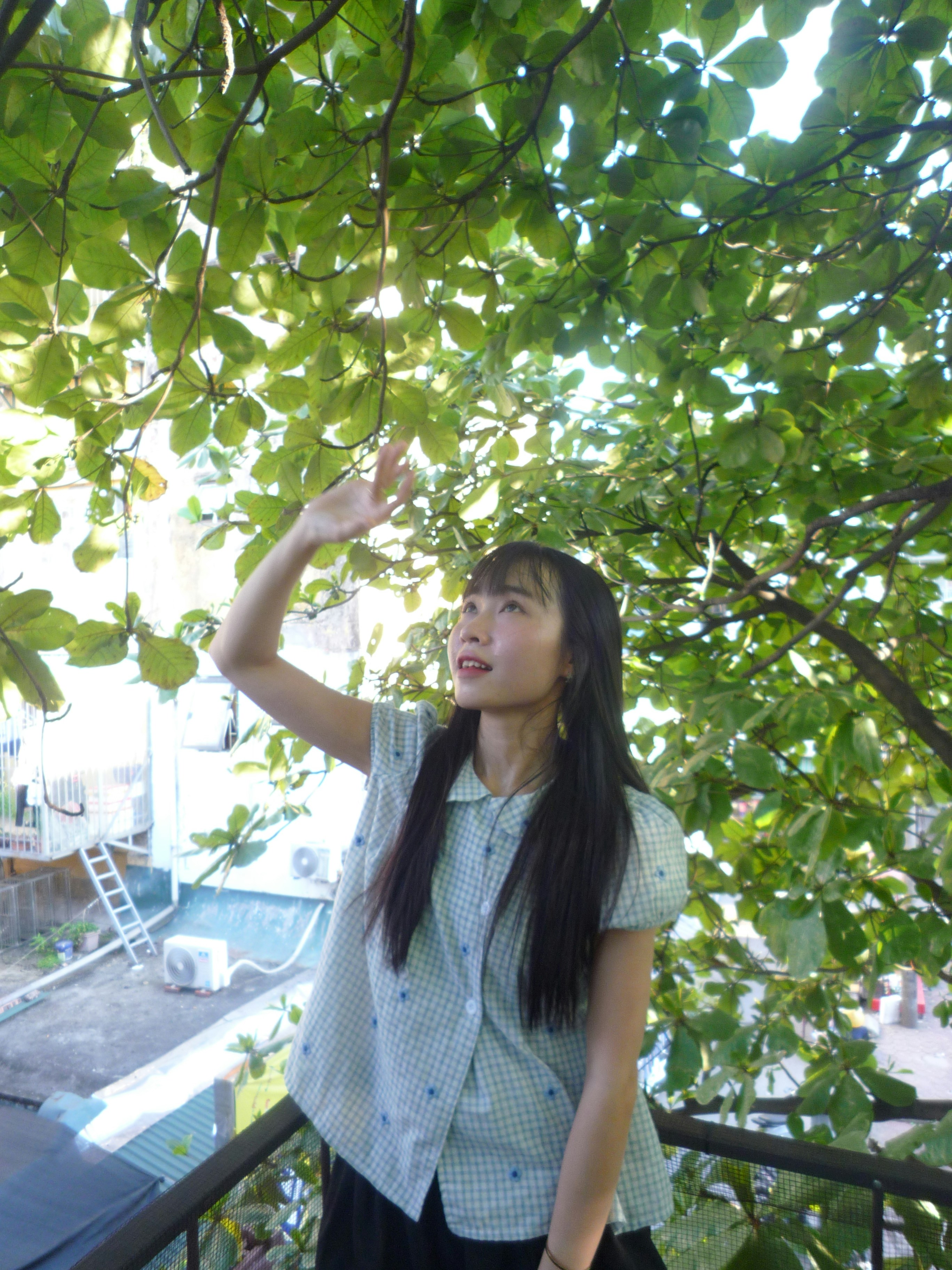 Young woman looking up at green leaves with hand raised.