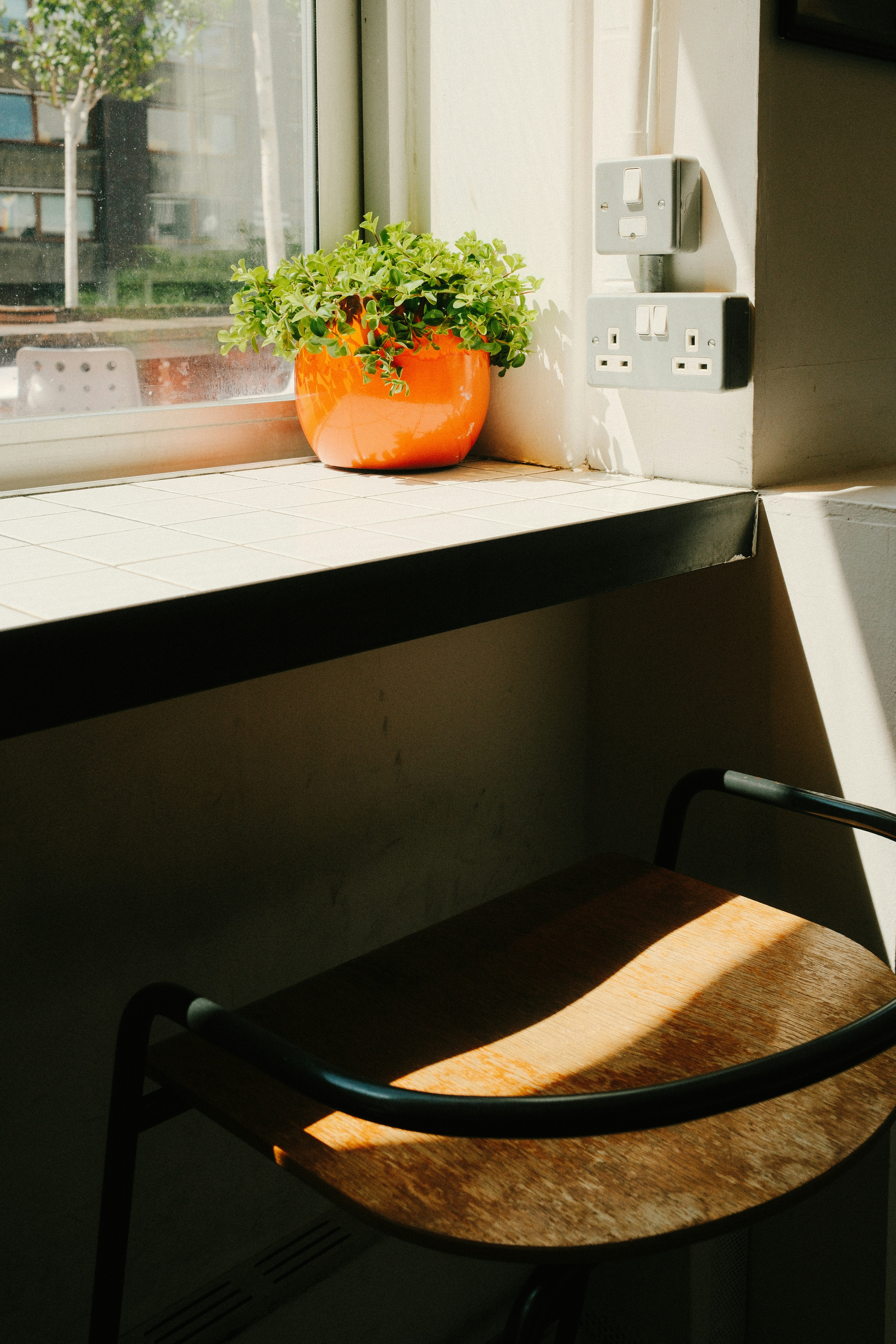 Sunlit Window Sill with Potted Plant and Weathered Chair