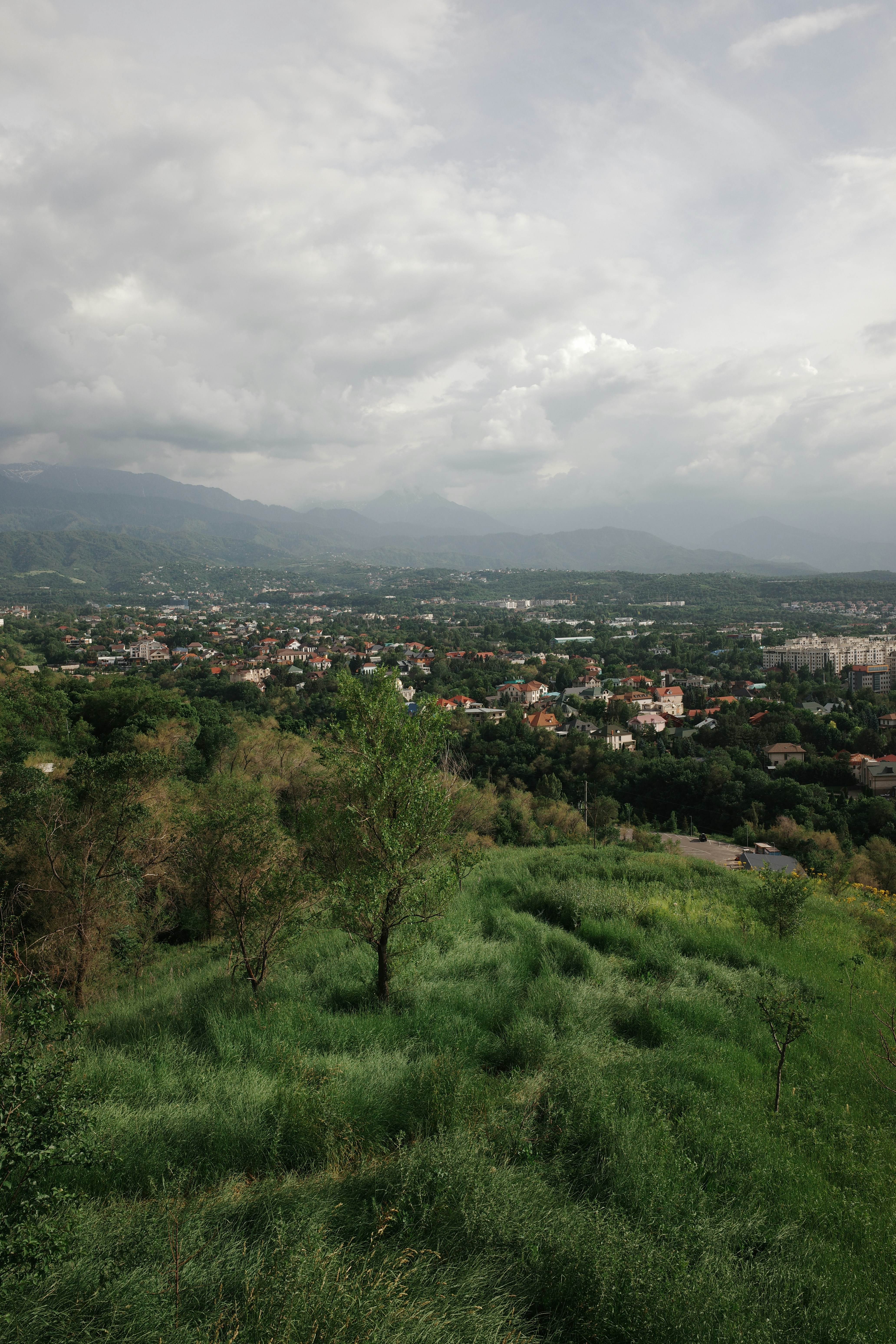 Horizon of Hills: A Quiet Town Nestled in Green Slopes
