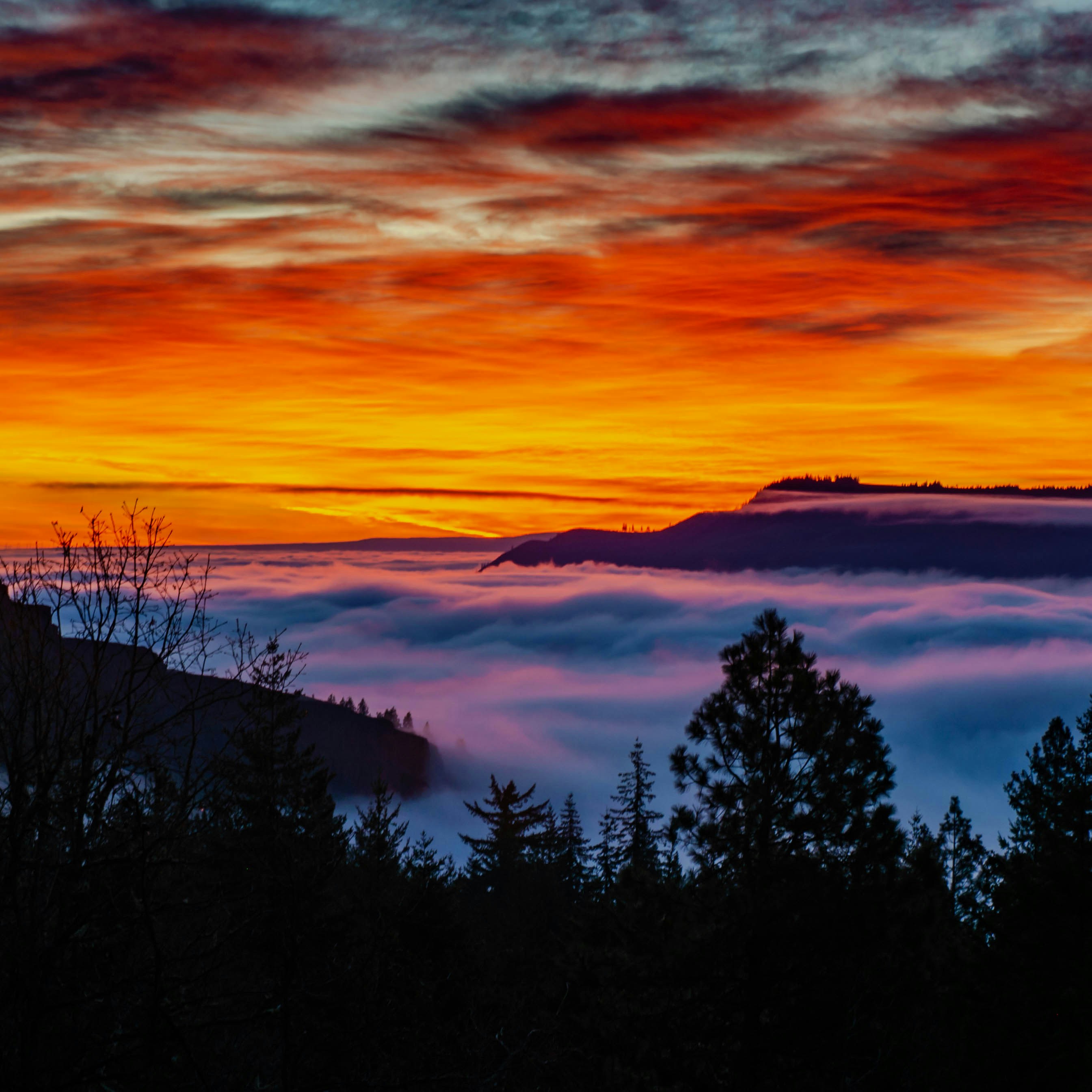 Crimson Crest Above a Sea of Clouds