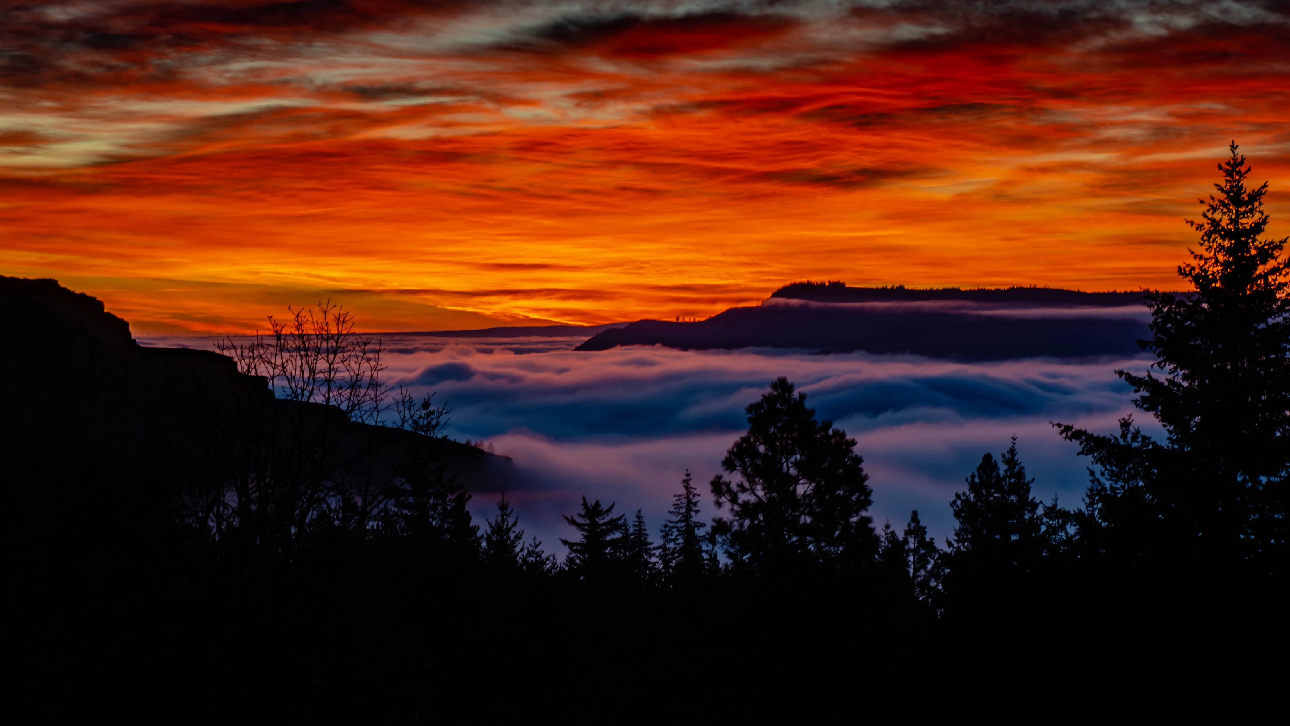 Fiery Horizon Over Silent Pines