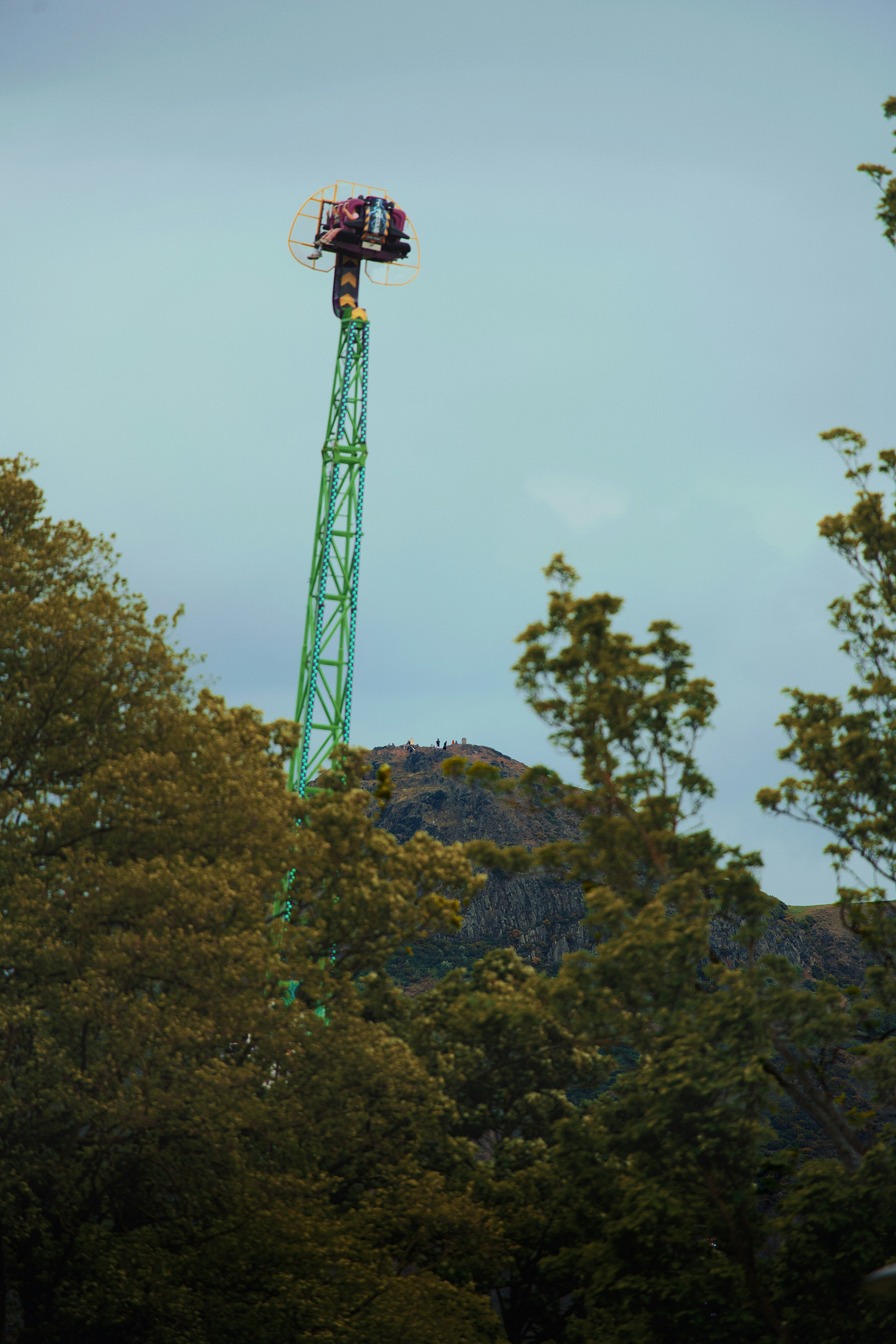 Tall Signal Tower: A solitary ride above the forest canopy
