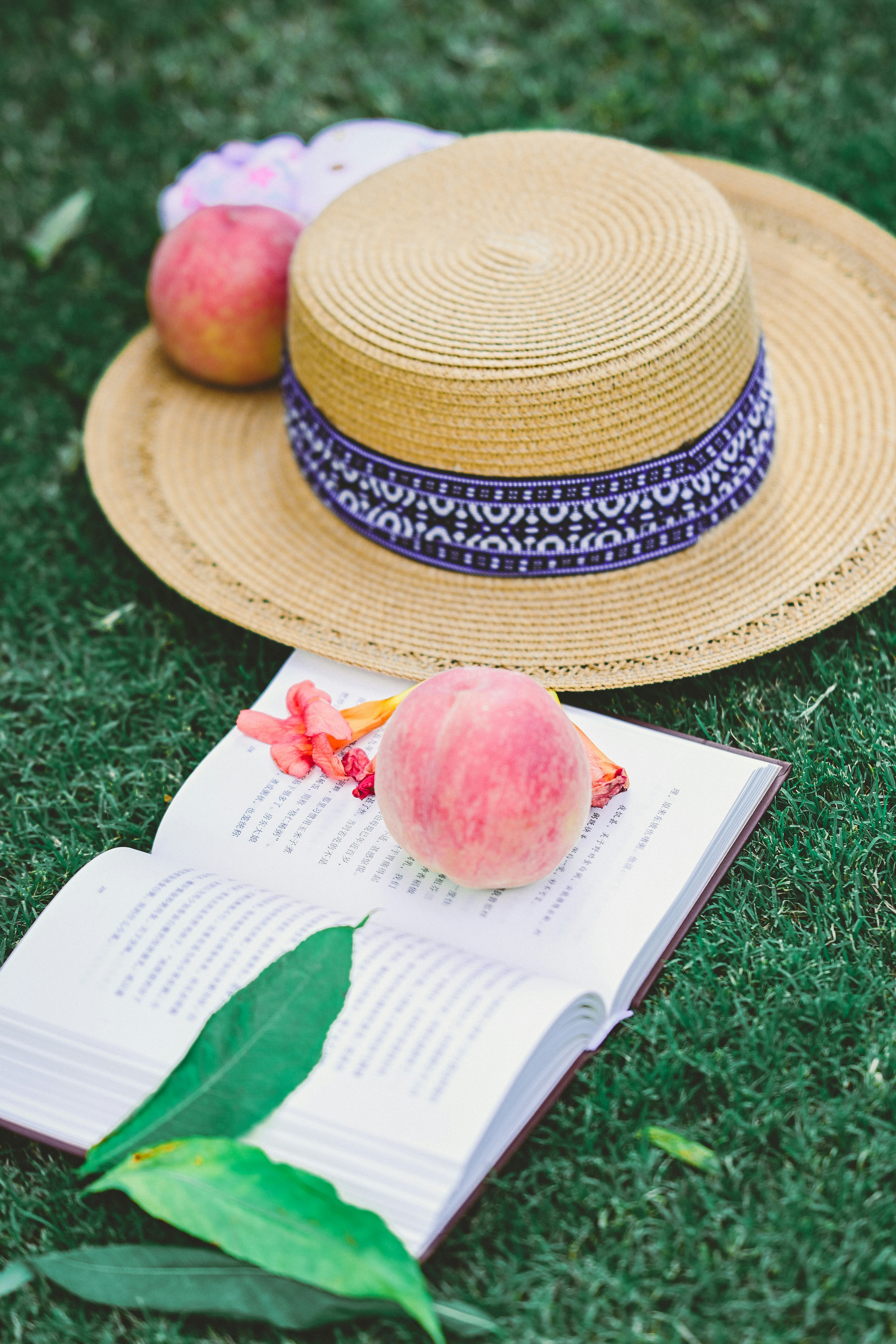 A straw hat, open book, and peaches on green grass.