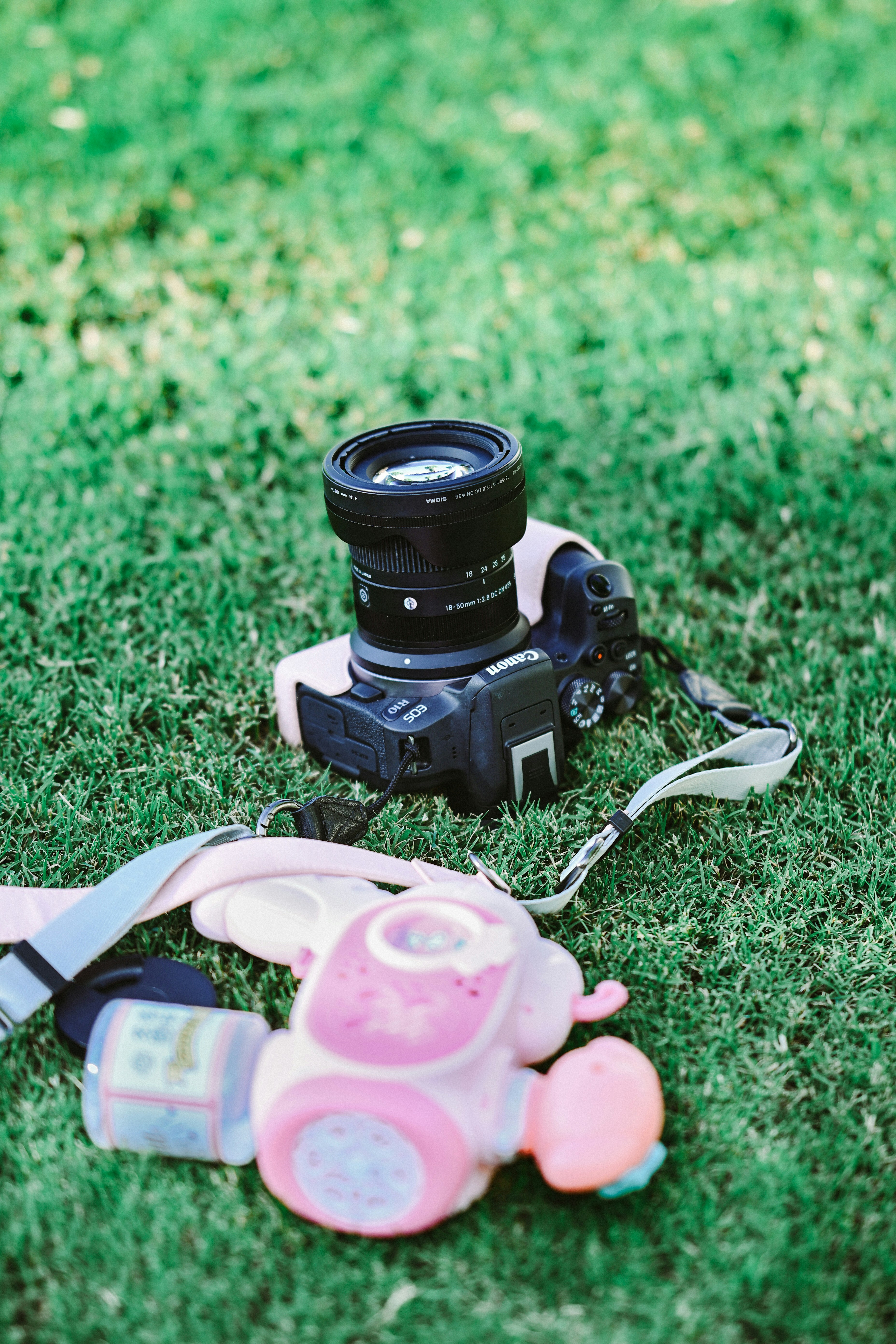 Displaced Perspective: A DSLR Resting on Grass with a Pink Toy Camera in Foreground