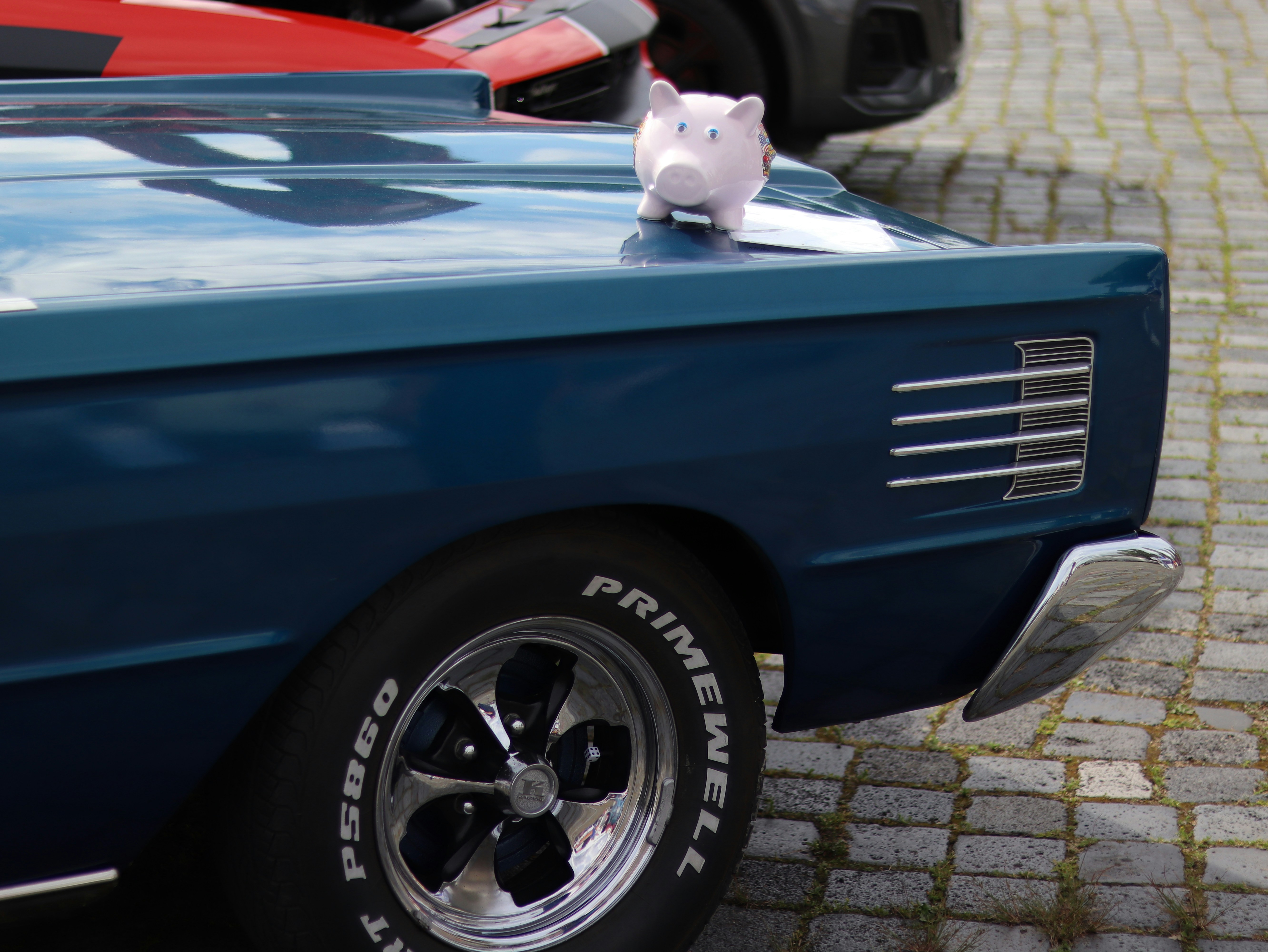 Tiny Pink Piggy on a Classic Blue Car