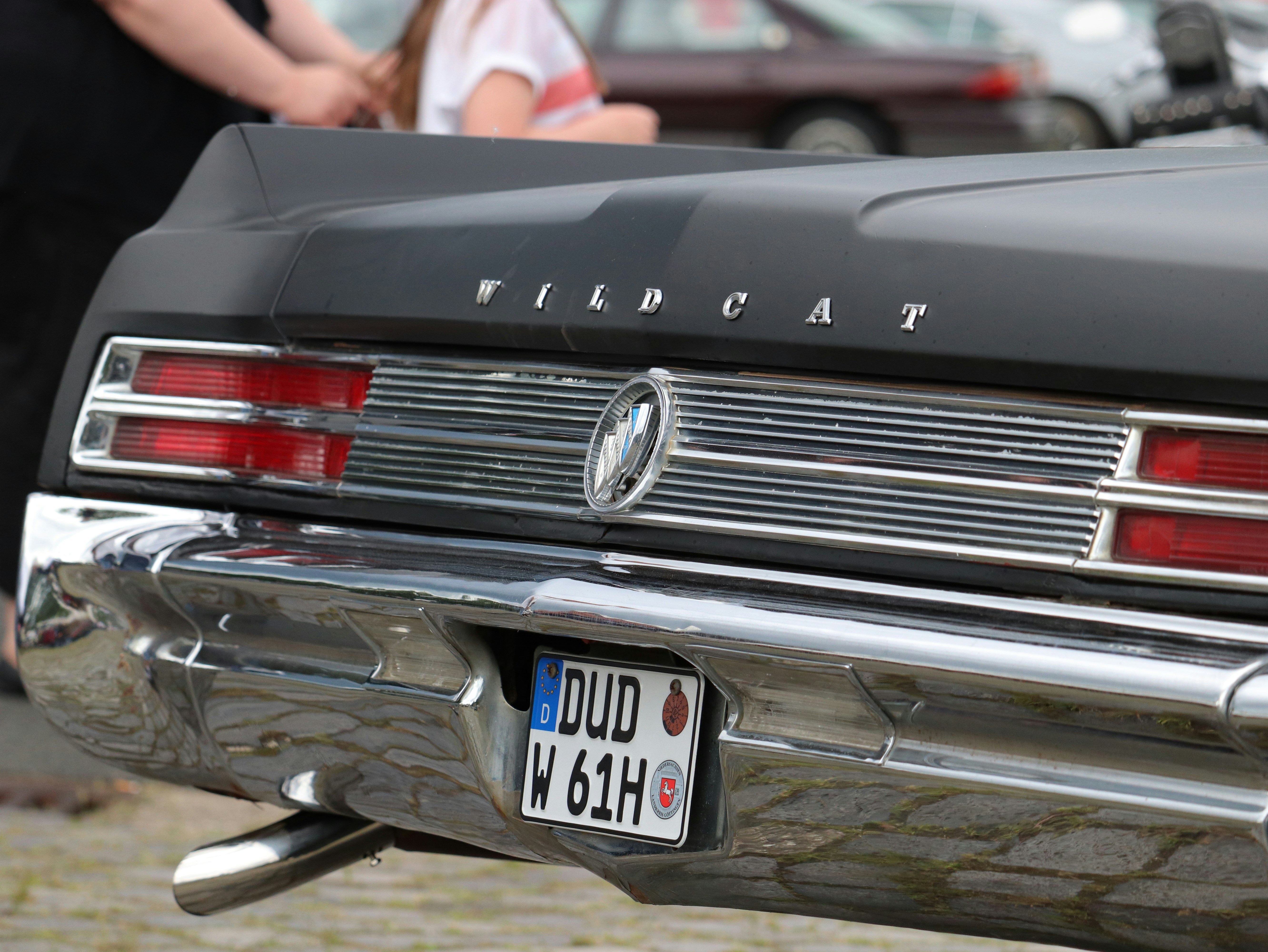 Tail Lights and Chrome Heritage: A Classic Wildcat in Focus
