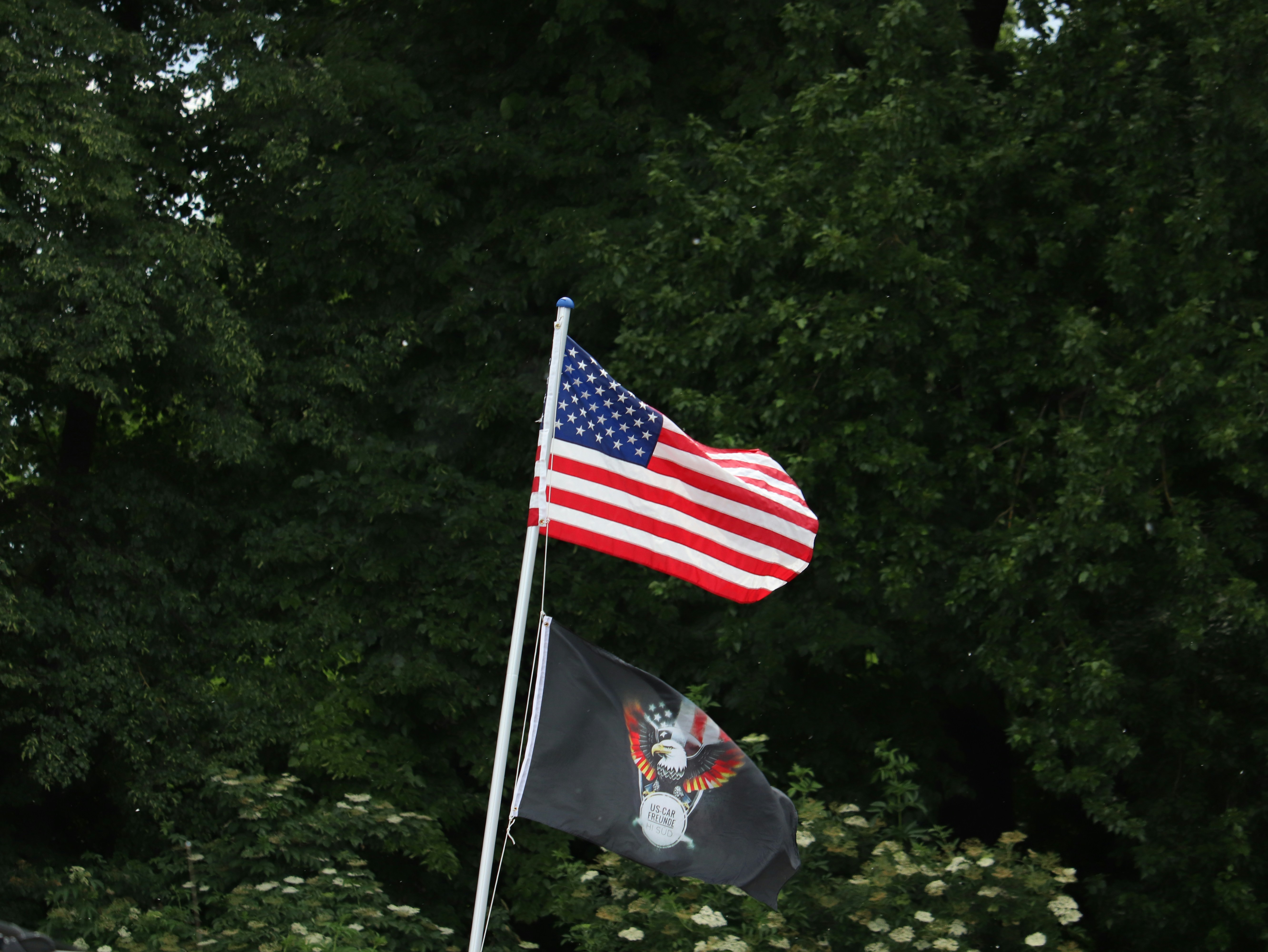 Rising Flags Against a Quiet Green Backdrop