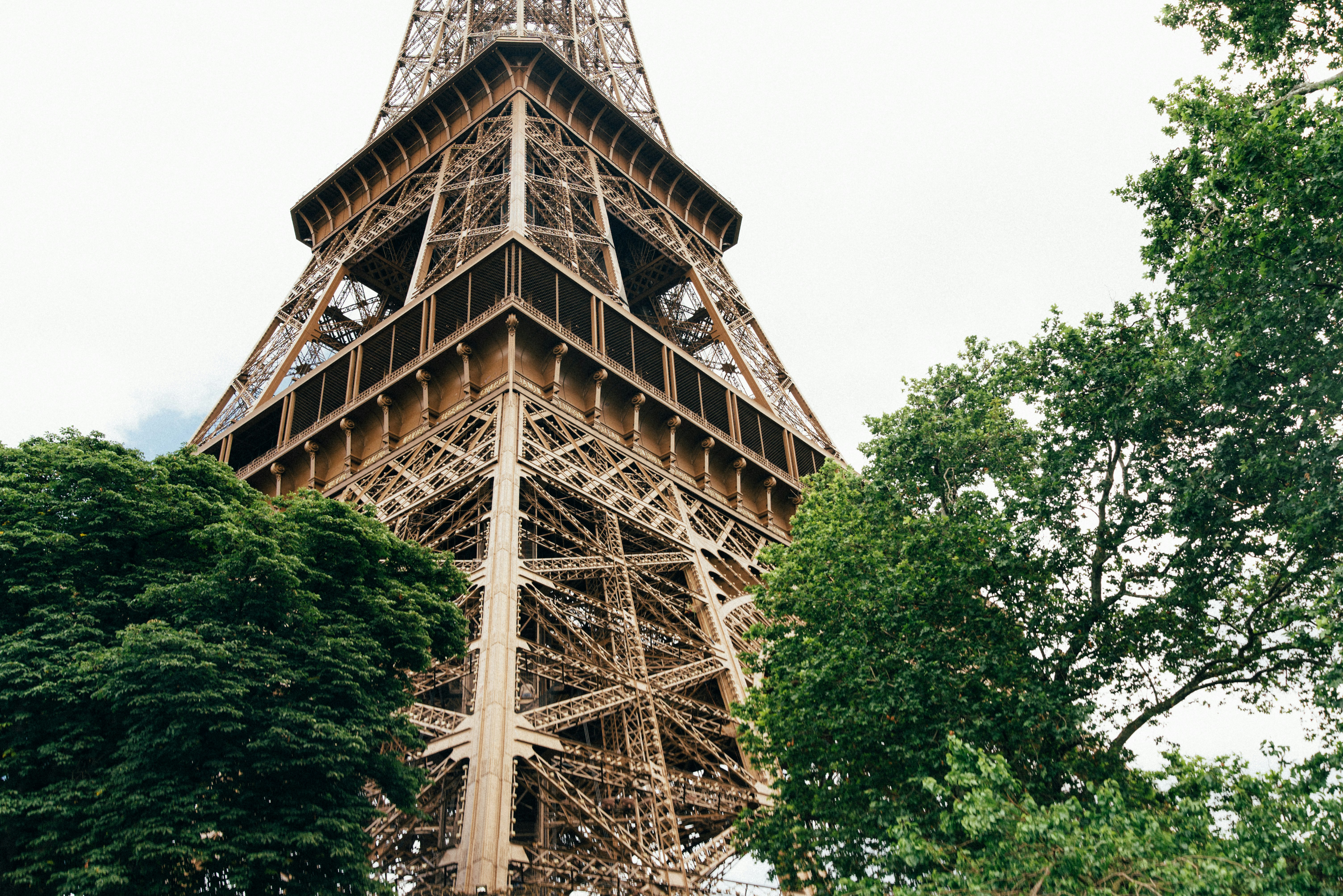 Iron Lacework: Eiffel’s Backbone Rises Above Parisian Canopies