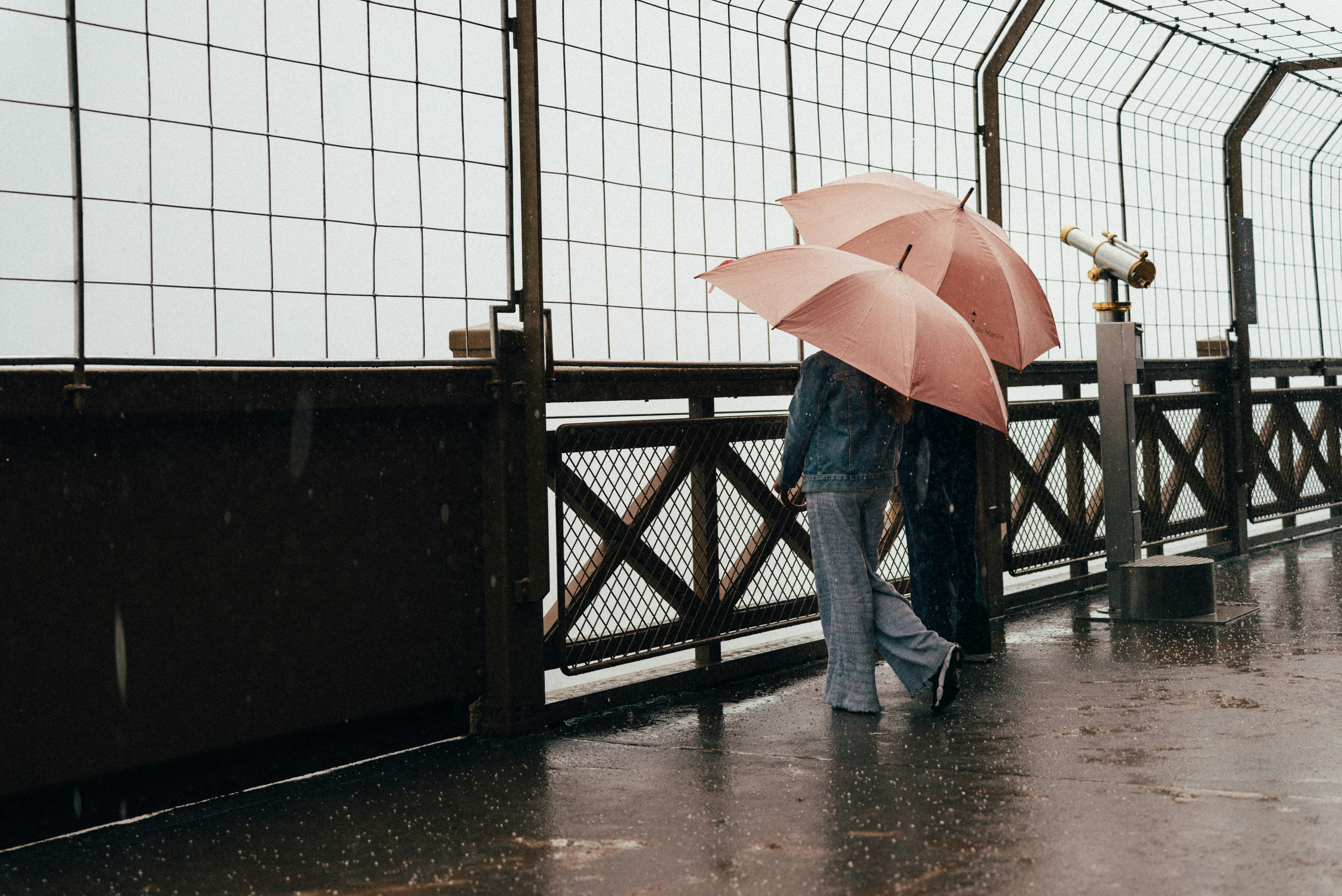 Umbrellas in the Rain at the Railings