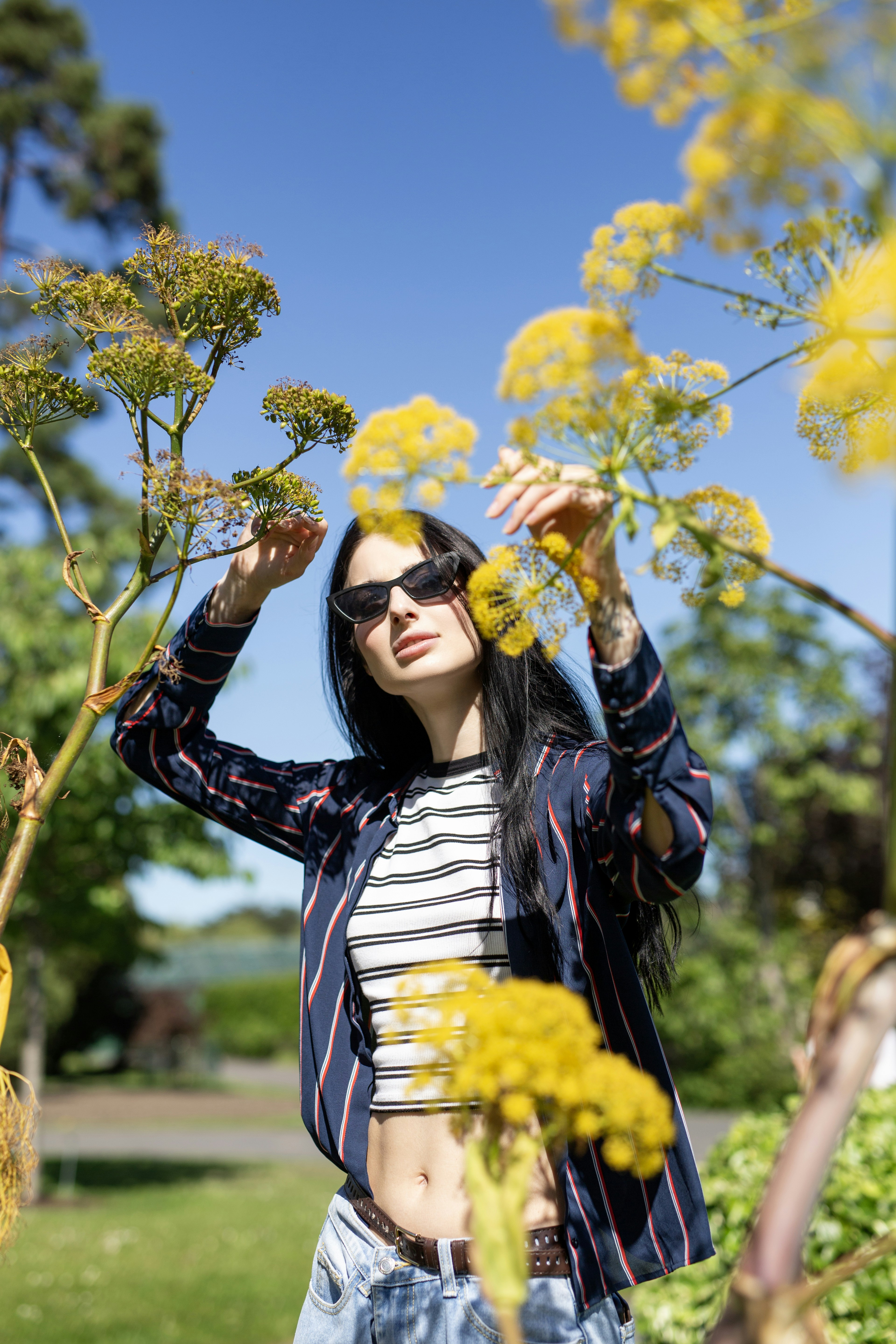 Sunlit Pose Among Golden Umbels