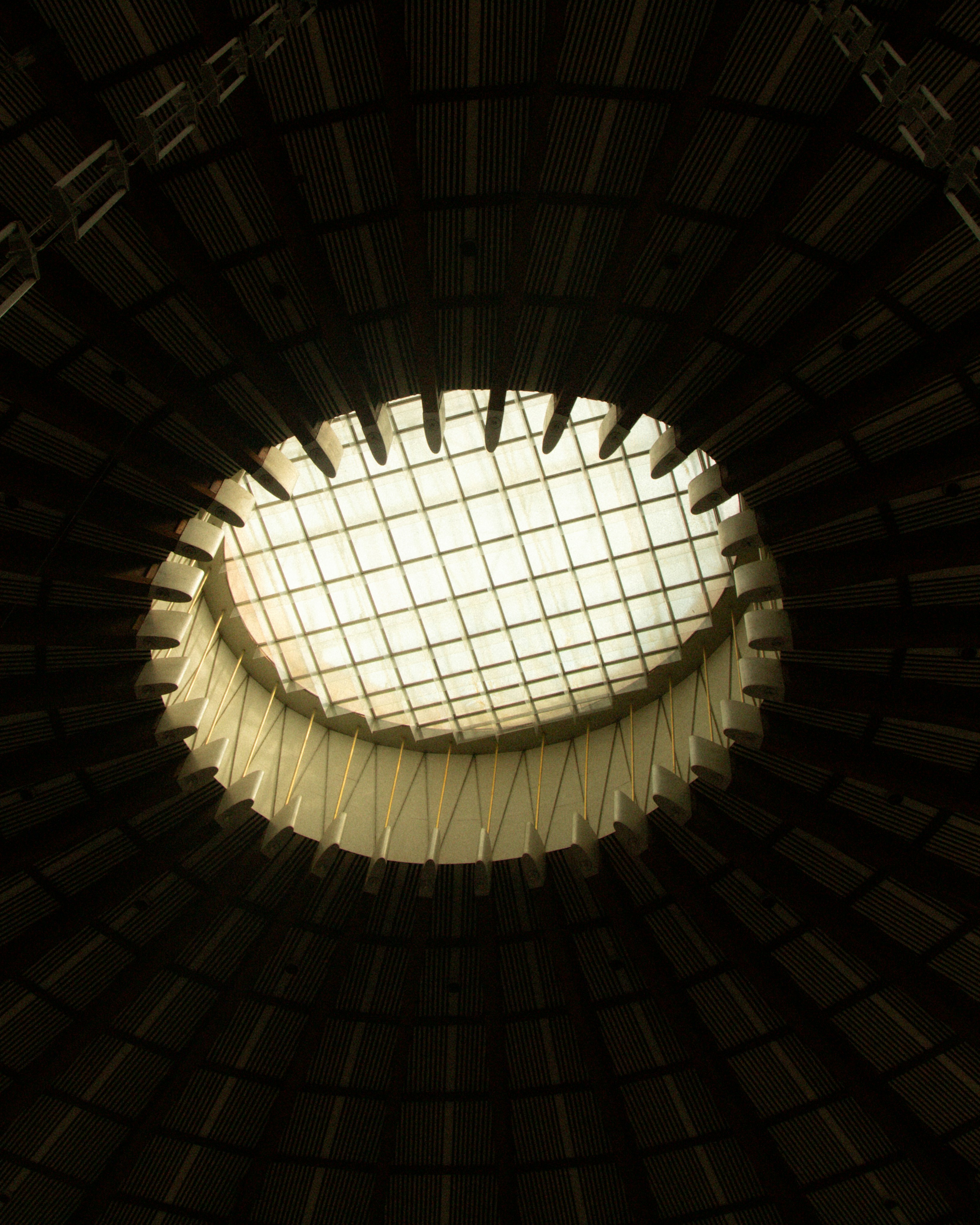 Oculus of Light: A Descent into the Circular Atrium