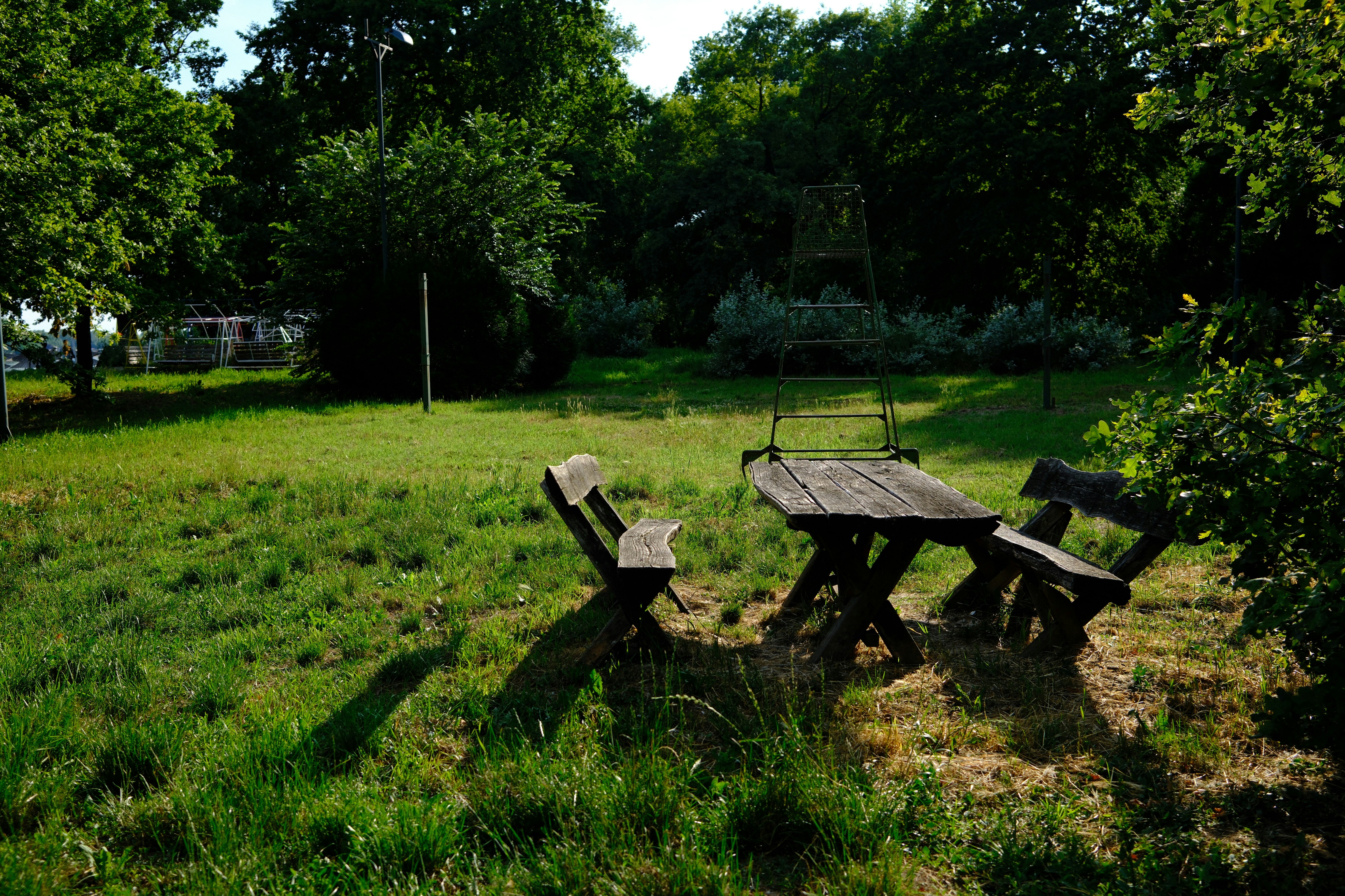 Sunlit Quiet: A Weathered Picnic Table in a Lush Park