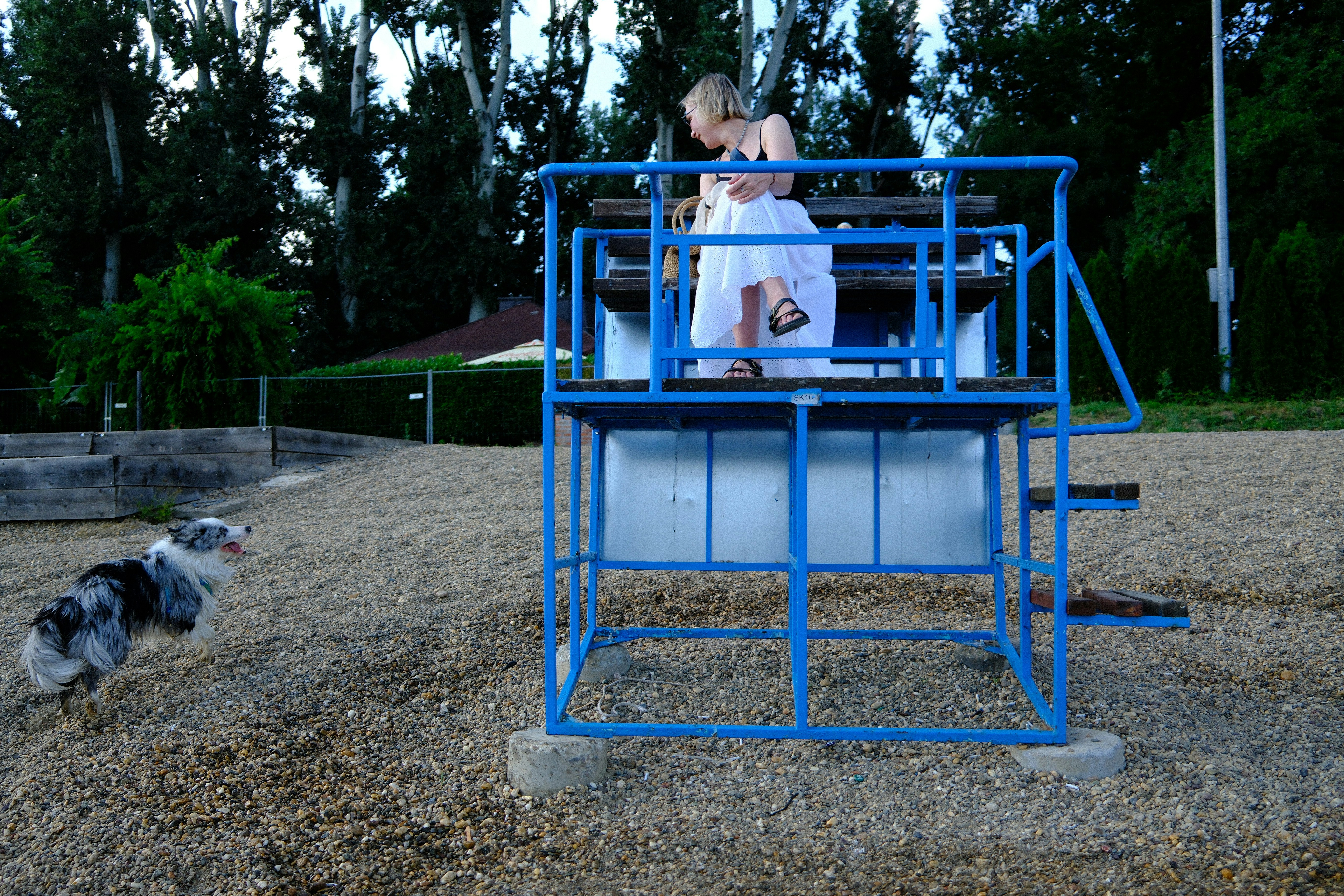 Girl on a blue lift watching a small dog on the gravel playground